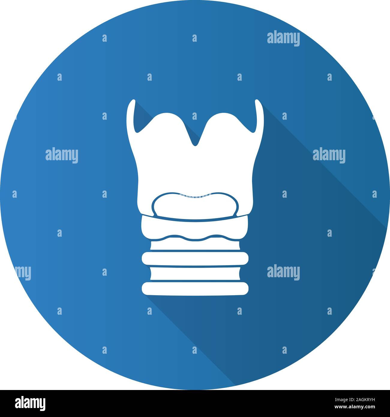 Voice box anatomy hi-res stock photography and images - Alamy