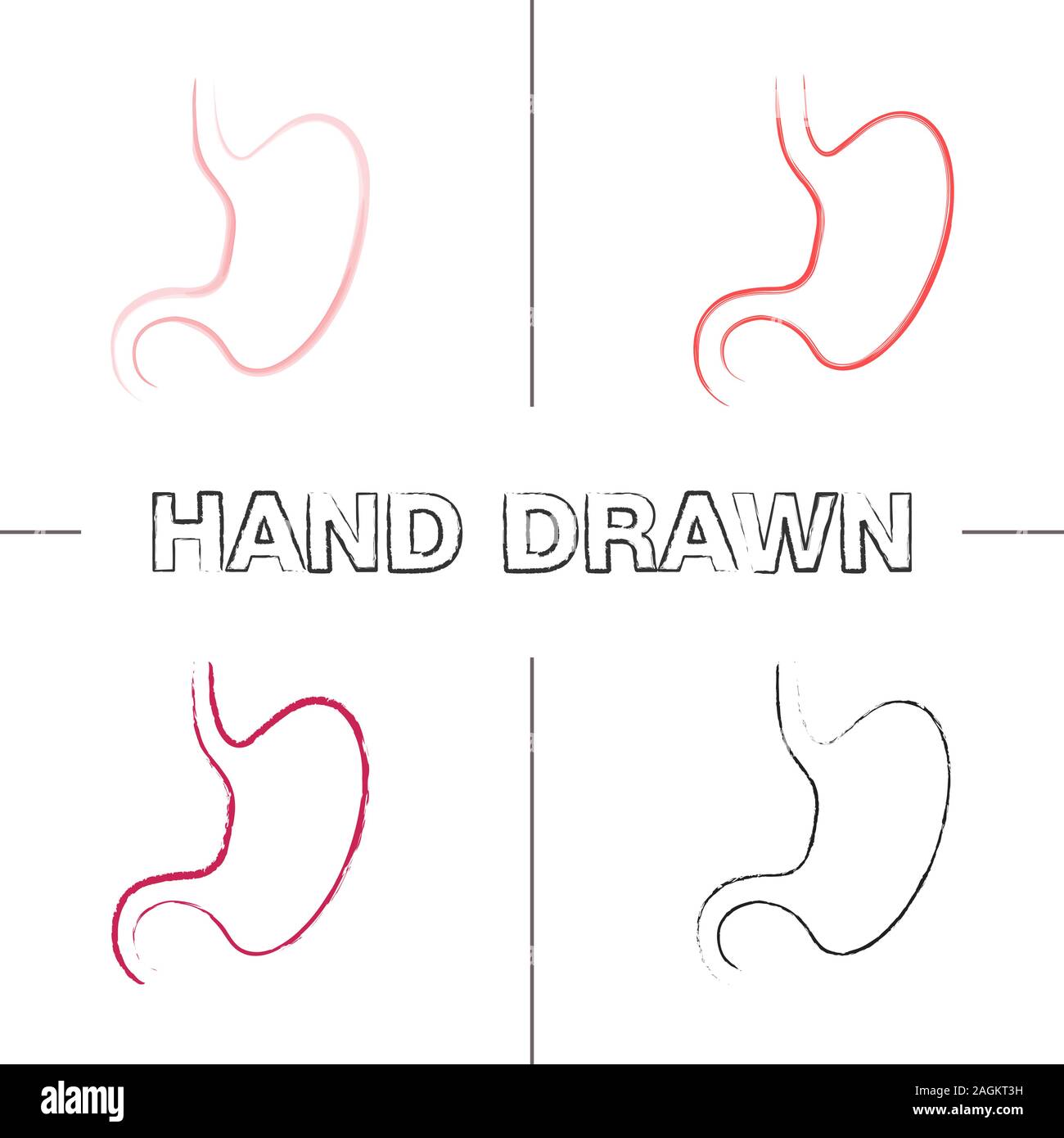 Stomach hand drawn icons set. Gastrointestinal tract. Color brush ...