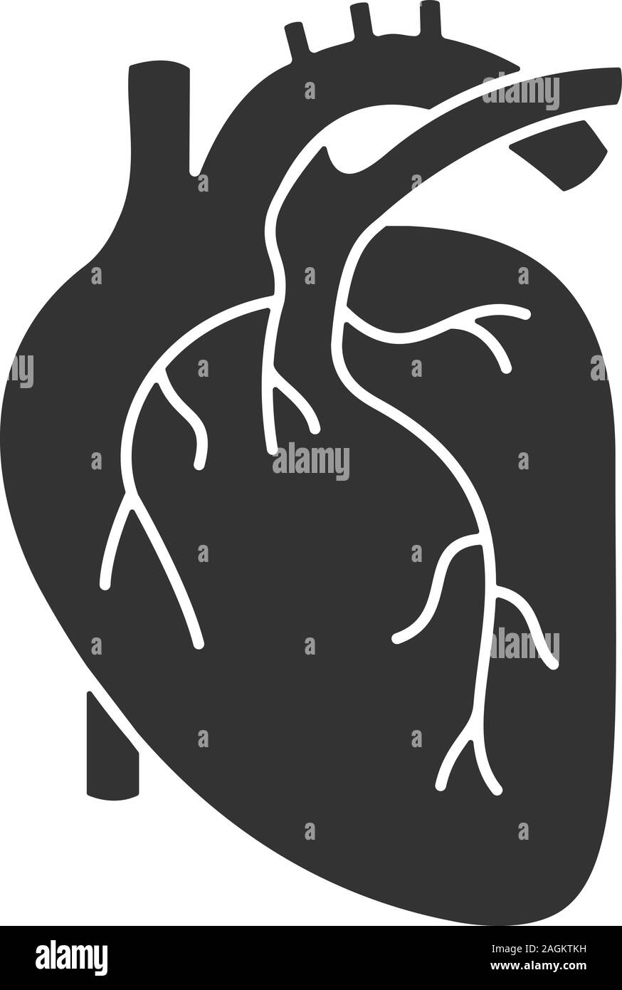 Human heart anatomy glyph icon. Silhouette symbol. Negative space ...