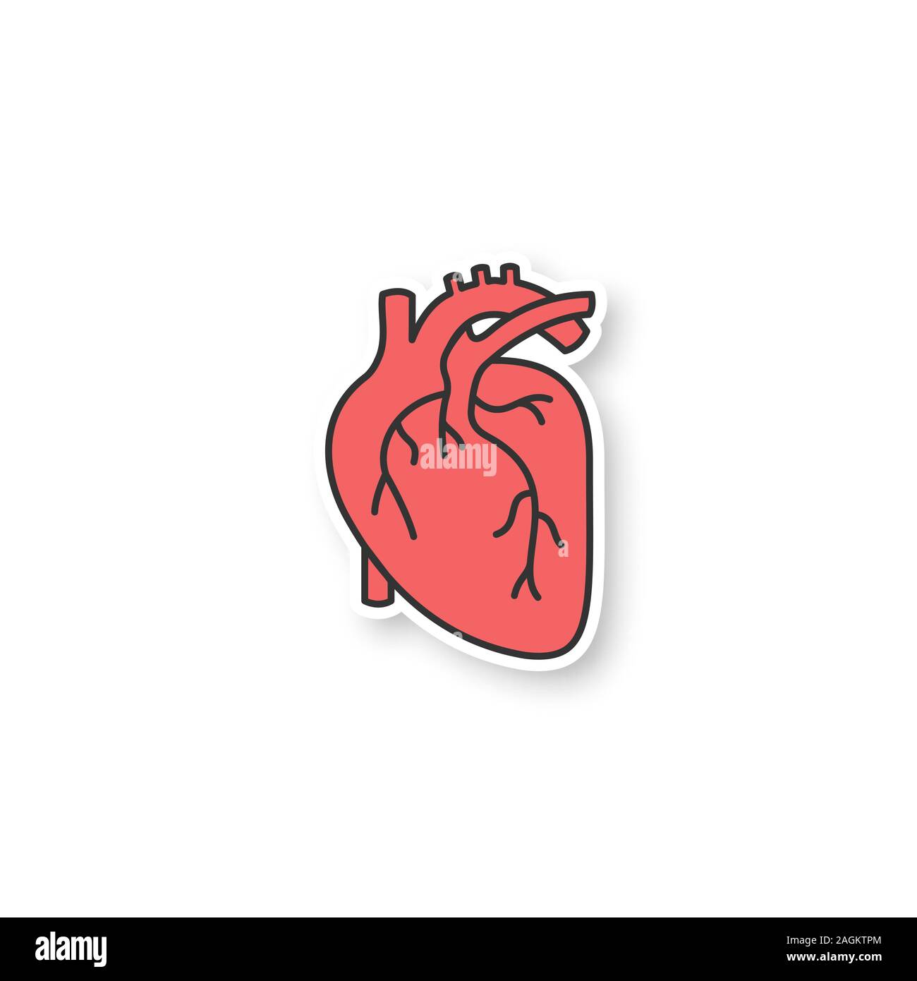 Human heart anatomy patch. Color sticker. Vector isolated illustration ...