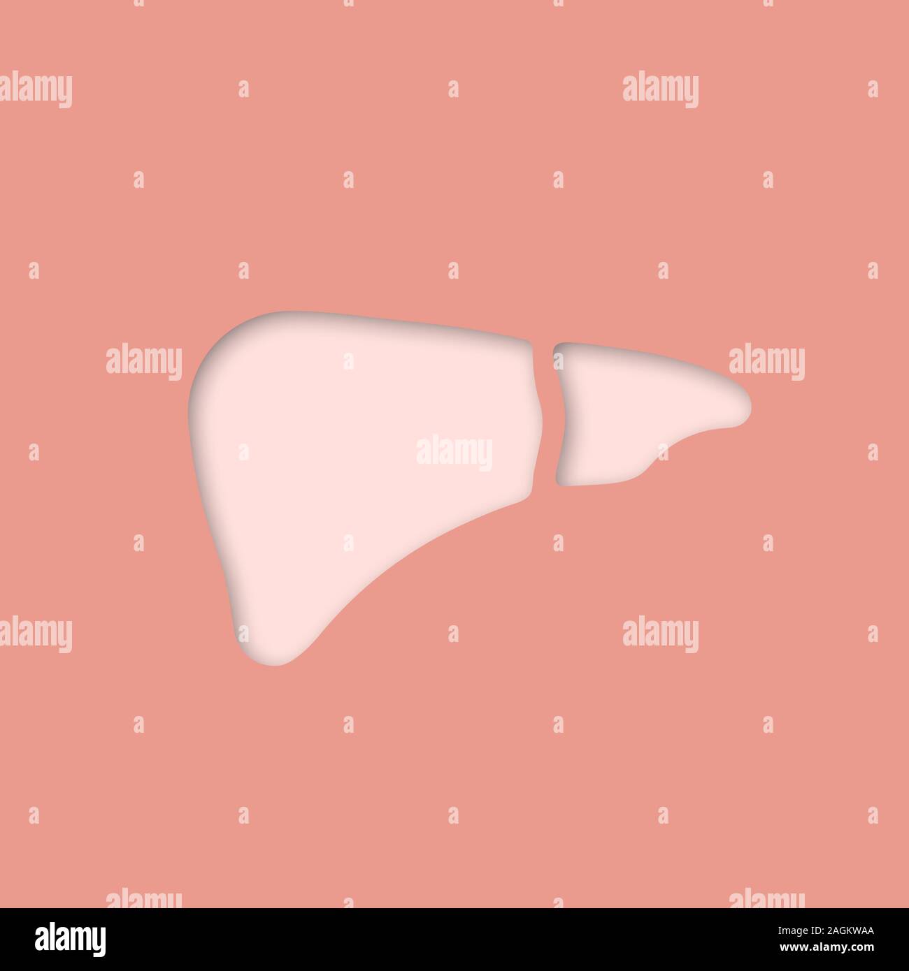 Liver paper cut out icon. Digestive gland. Vector silhouette isolated ...