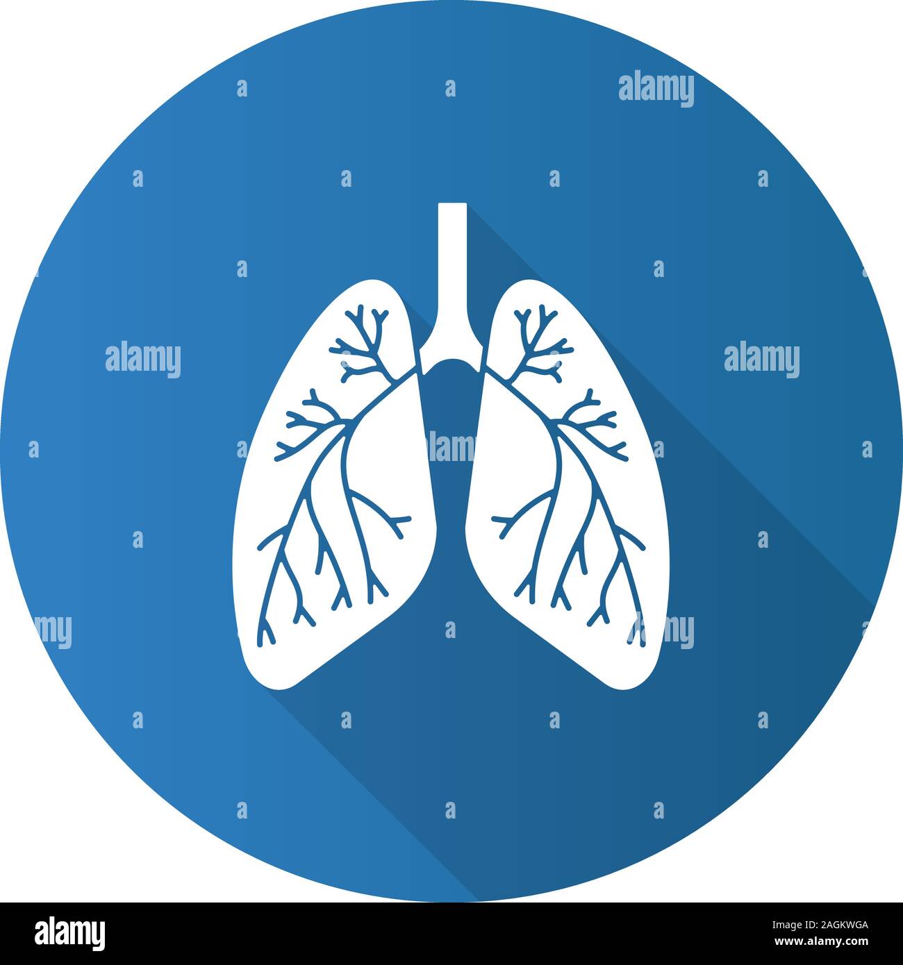 Human lungs with bronchi and bronchioles flat design long shadow glyph ...