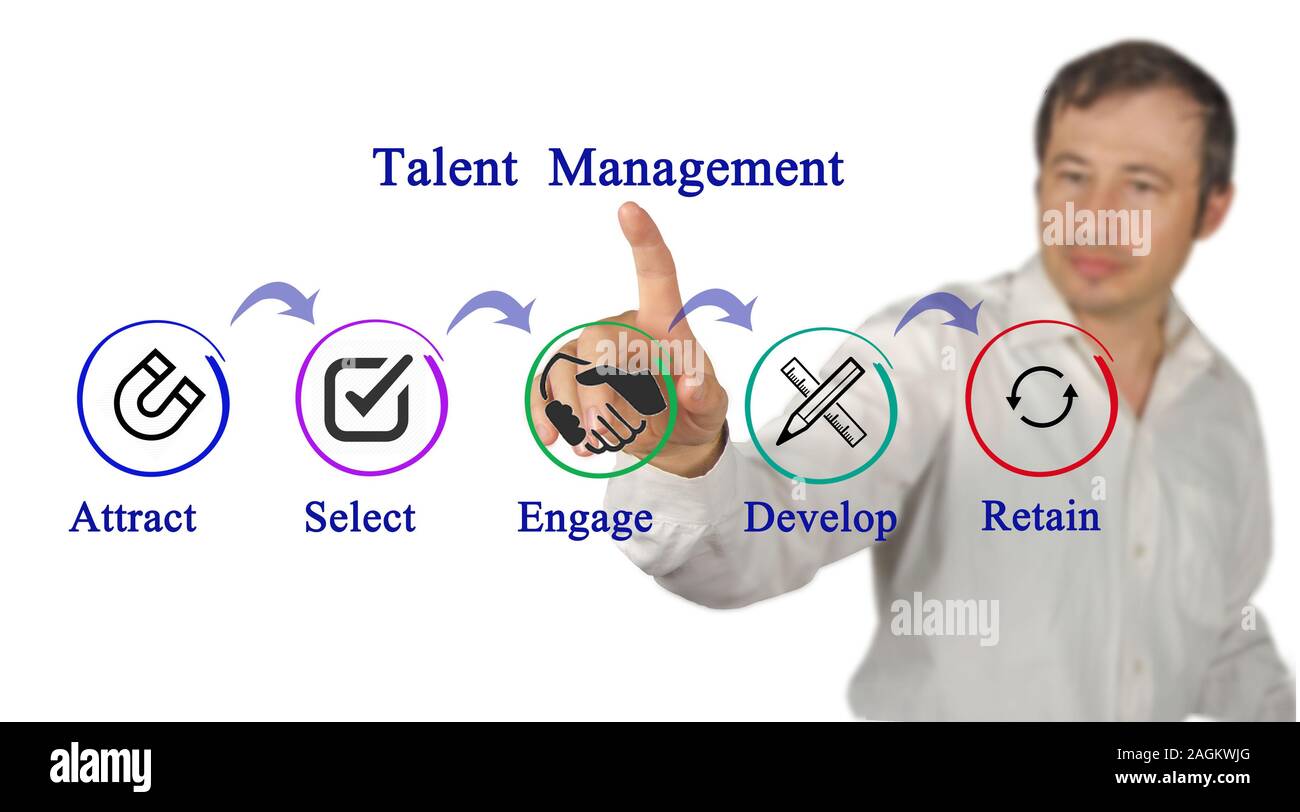 Talent Management Process Stock Photo - Alamy