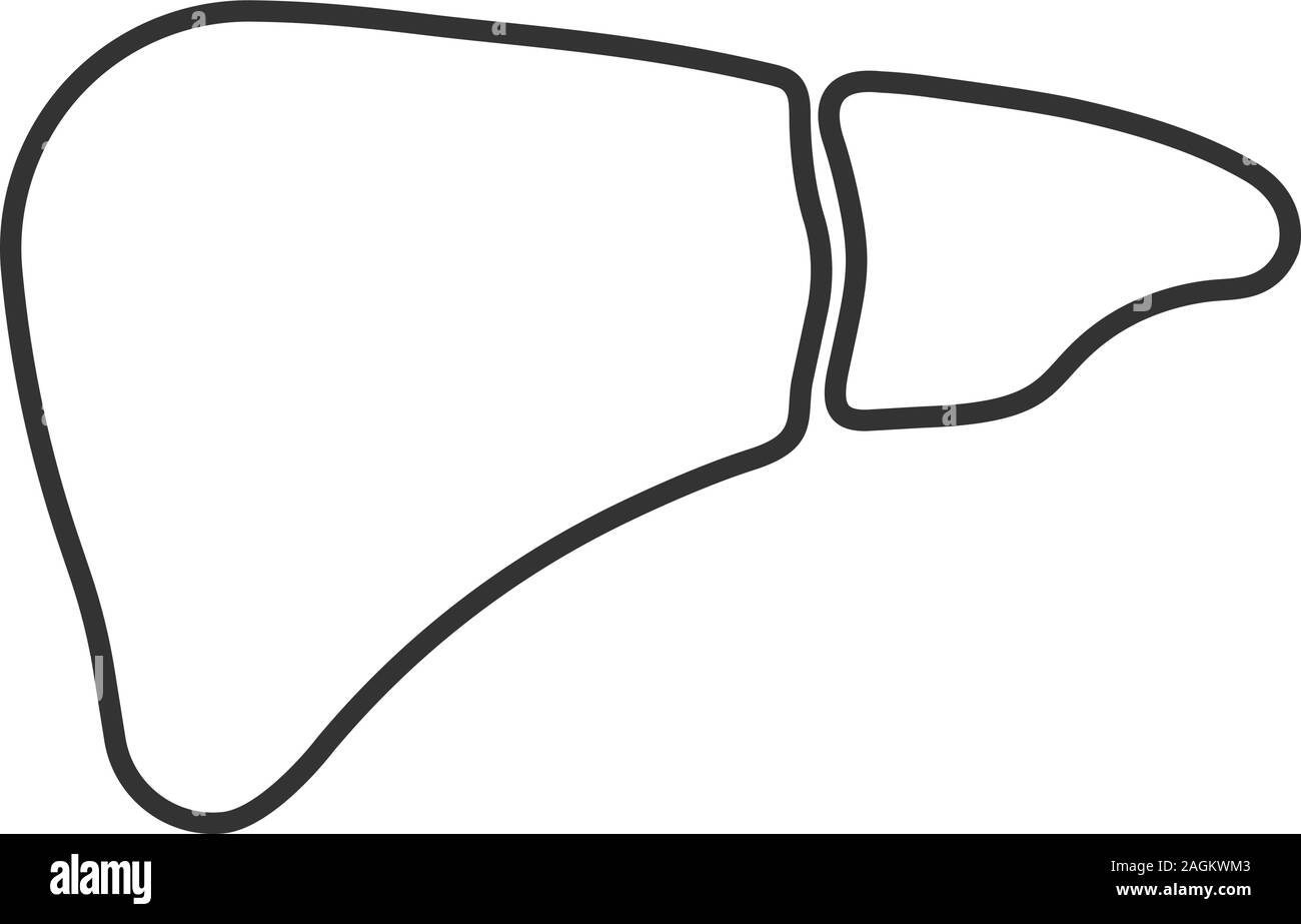 Liver linear icon. Thin line illustration. Digestive gland. Contour ...