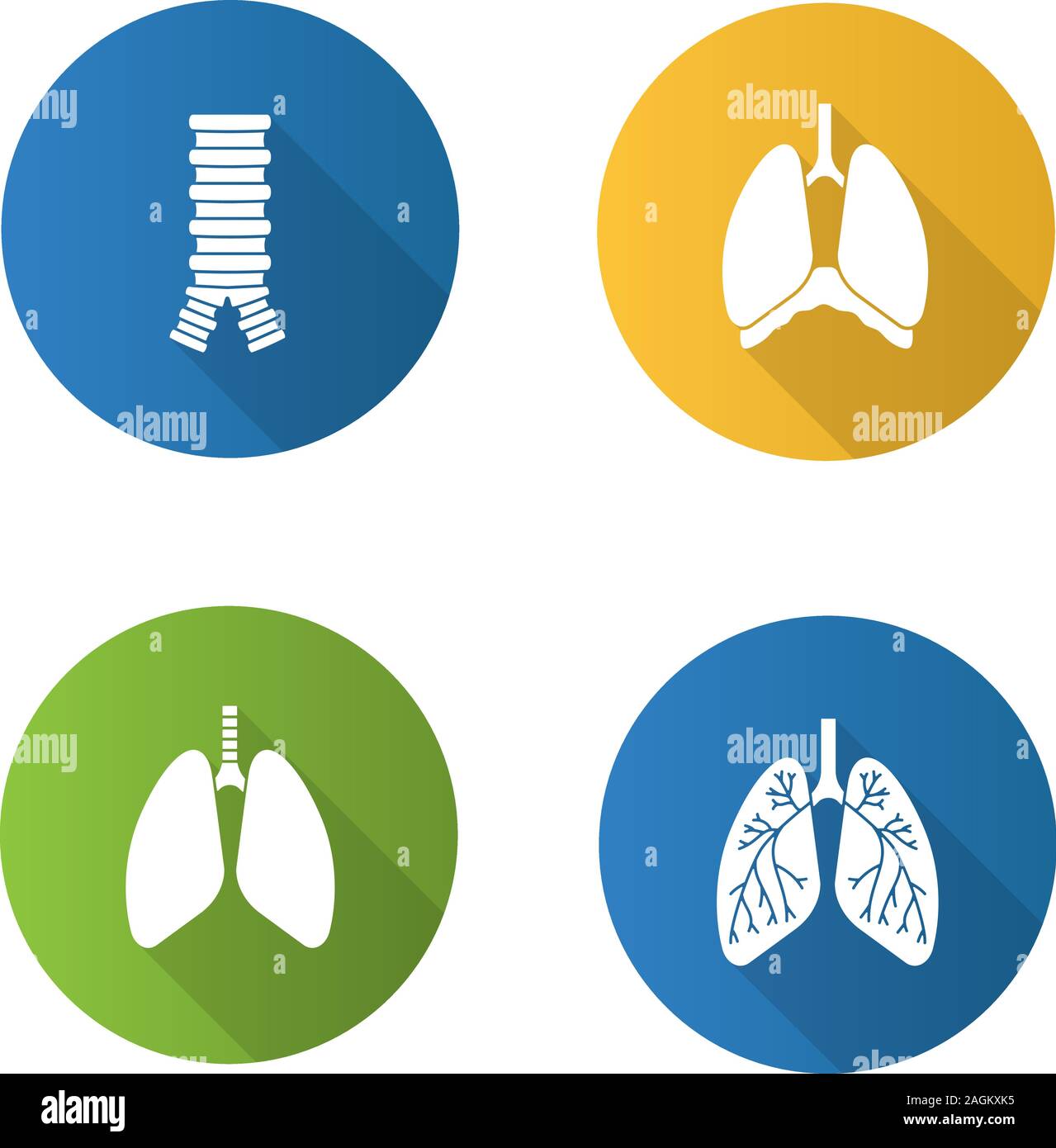Internal Organs Flat Design Long Shadow Glyph Icons Set Respiratory