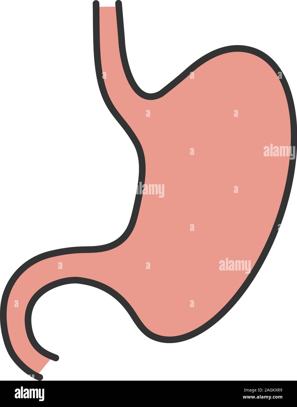 Stomach color icon. Gastrointestinal, tract. Isolated vector ...