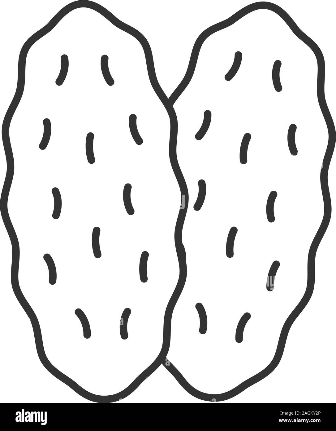 Thymus gland linear icon. Primary hematopoietic organ. Thin line ...