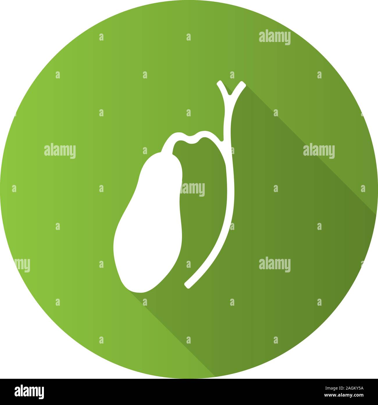 Gallbladder and ducts flat design long shadow glyph icon. Vector ...