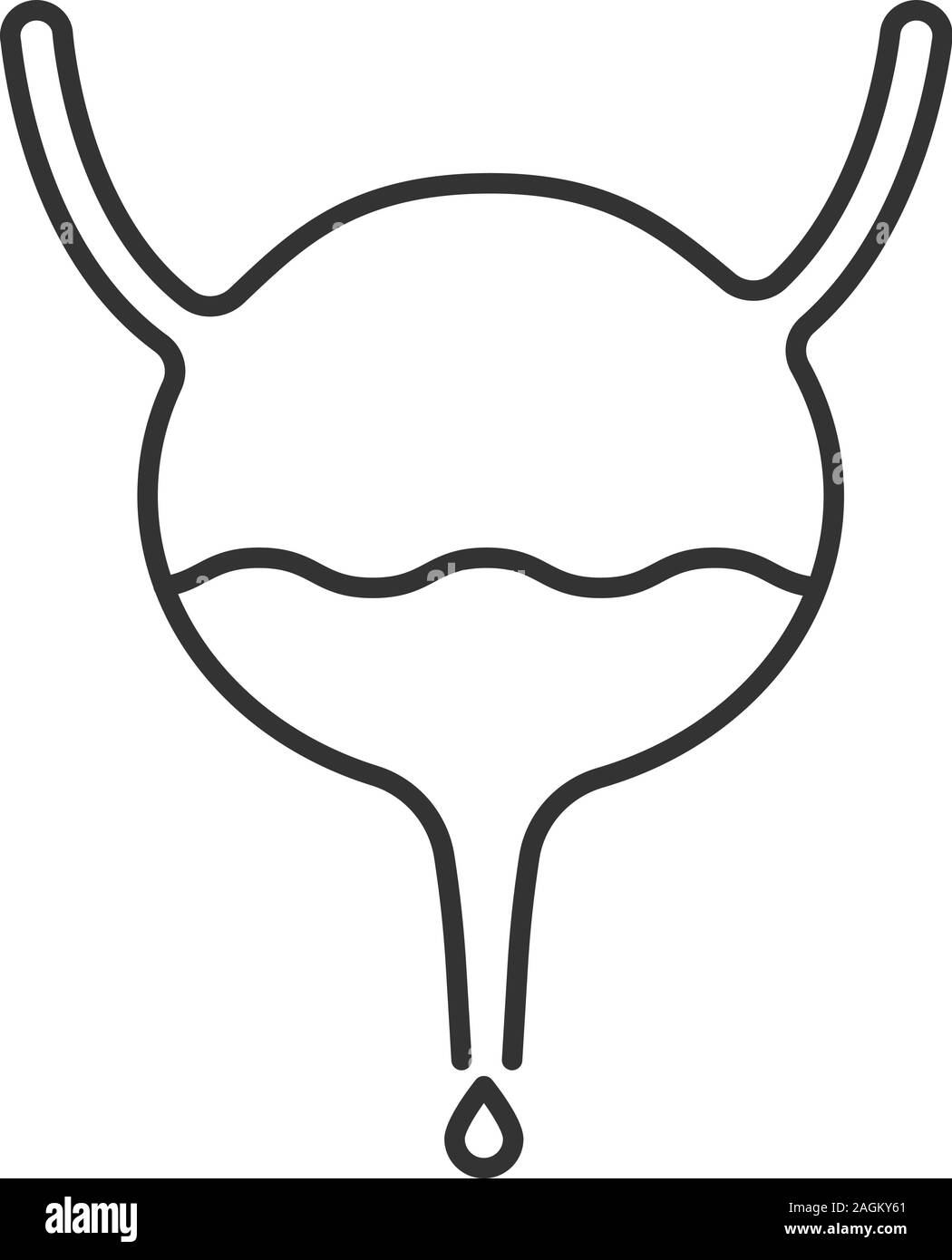 Urinary bladder, ureter and urethra linear icon. Thin line illustration ...