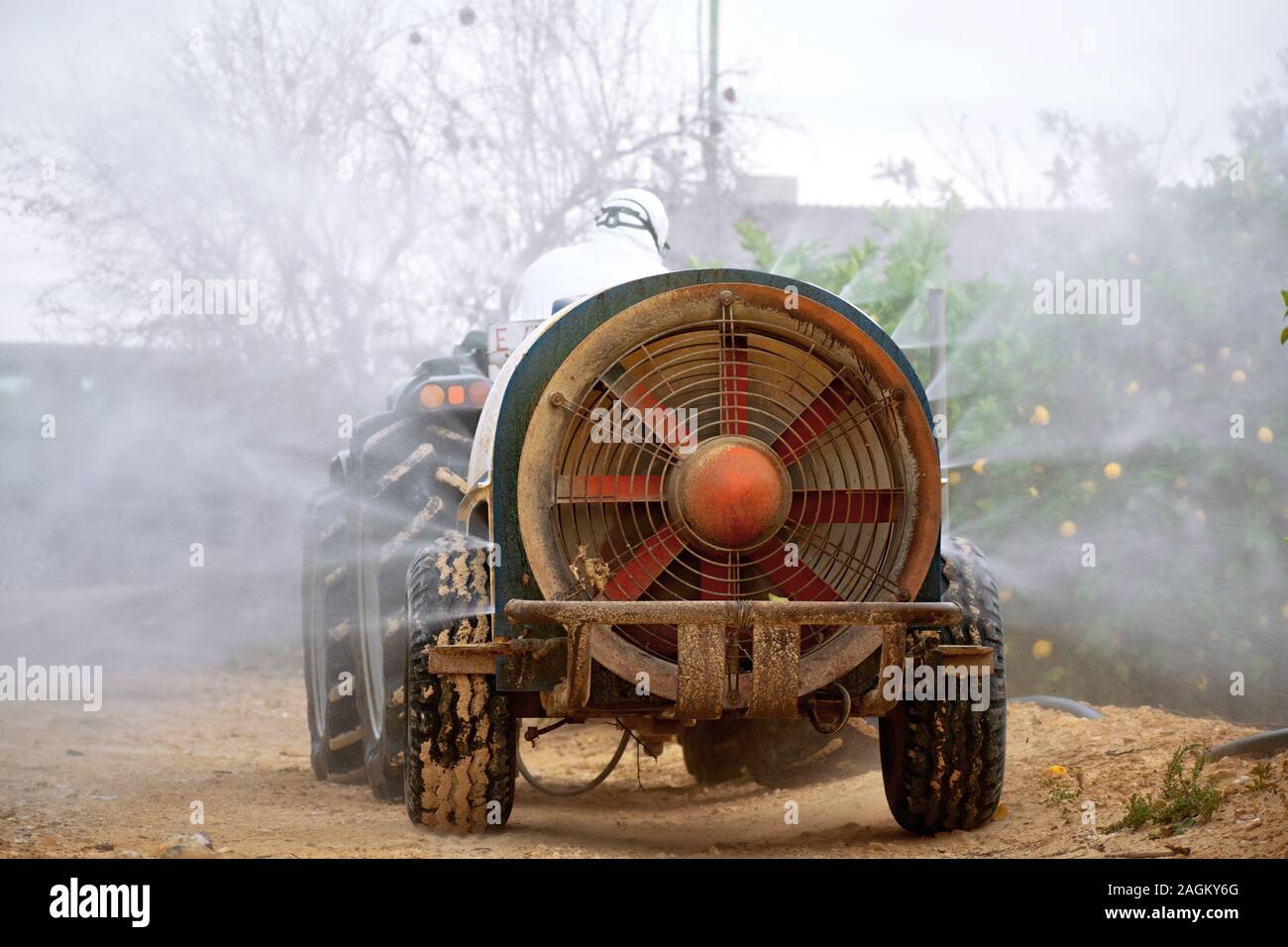 Rear view of Tractor spraying pesticide and insecticide on lemon ...