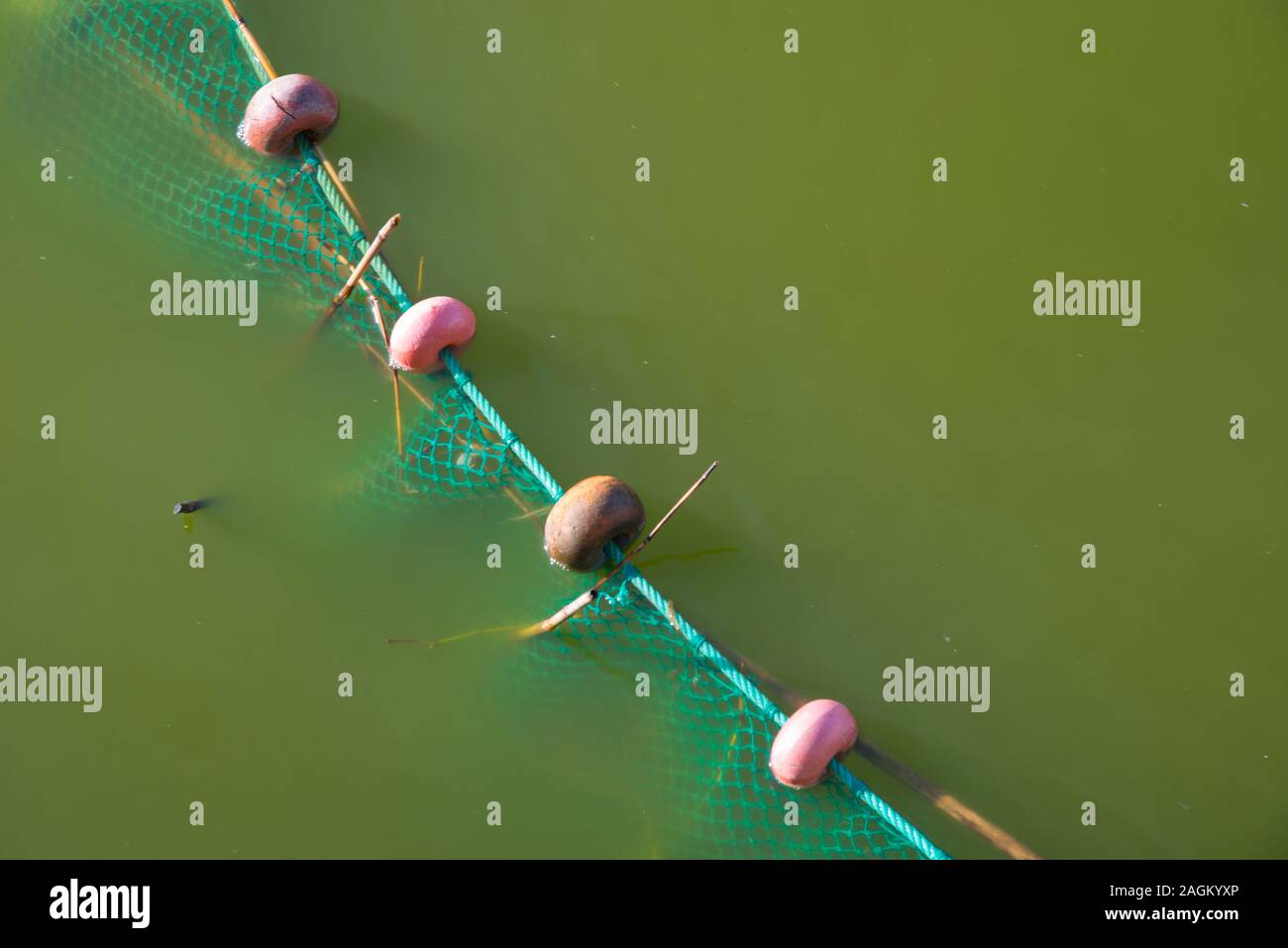 Floats and net in water Stock Photo - Alamy