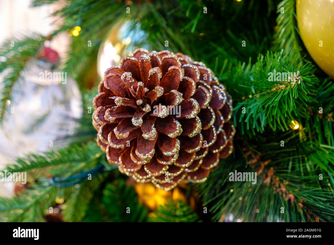 Pine cone bracts hi-res stock photography and images - Alamy