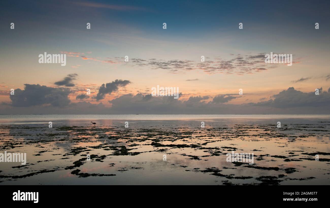 Indian Ocean at dawn off the coast of Zanzibar, Tanzania Stock Photo ...