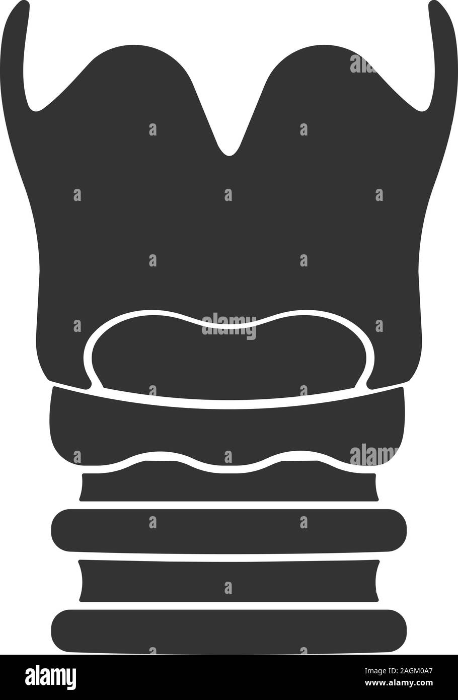 Voice box anatomy Black and White Stock Photos & Images - Alamy