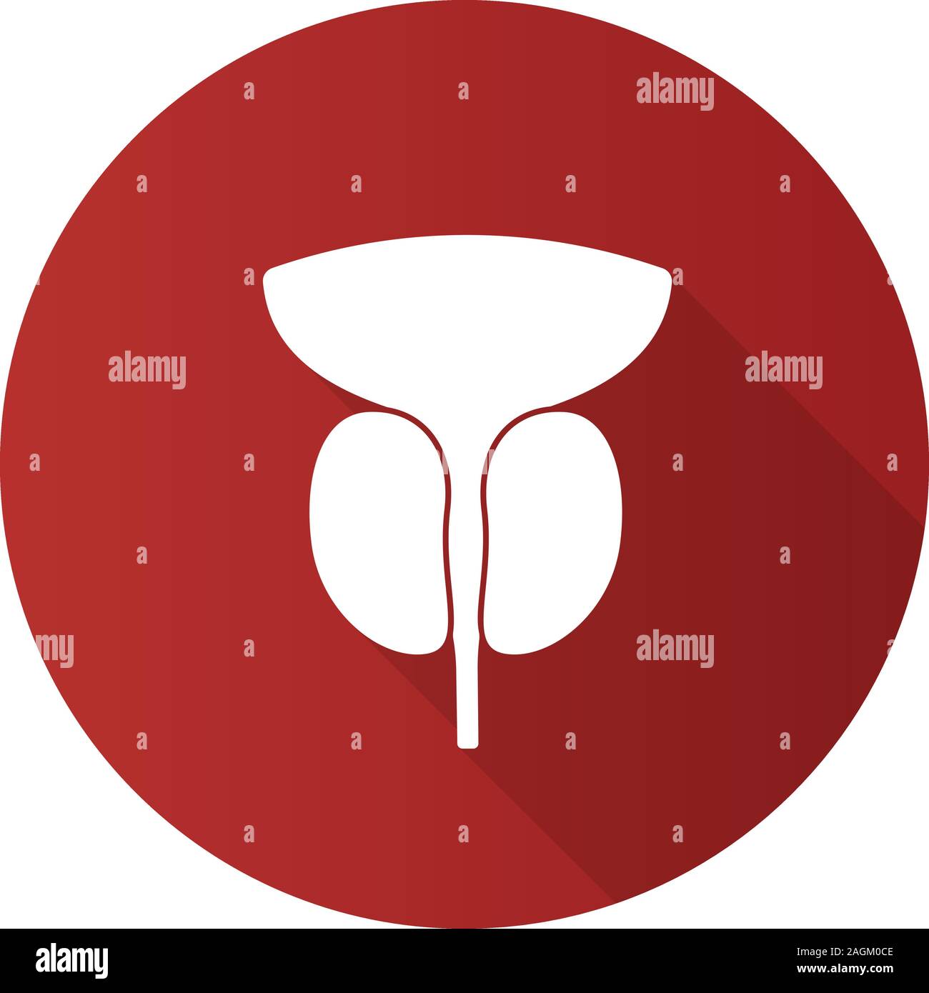Prostate gland and urethra flat design long shadow glyph icon. Male ...