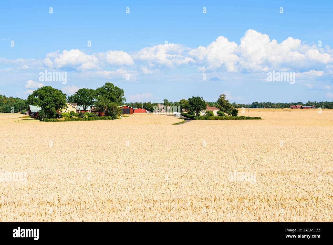 Agriculture fields and houses on the Swedish countryside Stock Photo ...