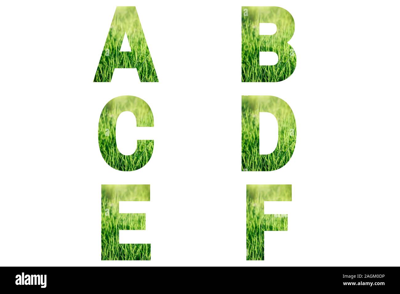 Green font Alphabet a, b, c, d, e, f made of fresh green grass ...