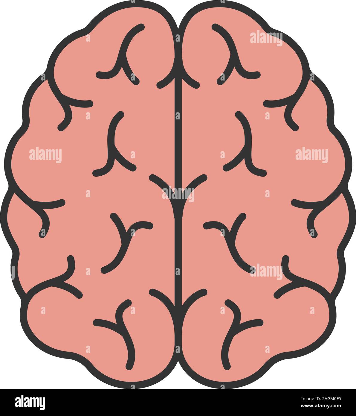 Human brain color icon. Nervous system organ. Isolated vector ...