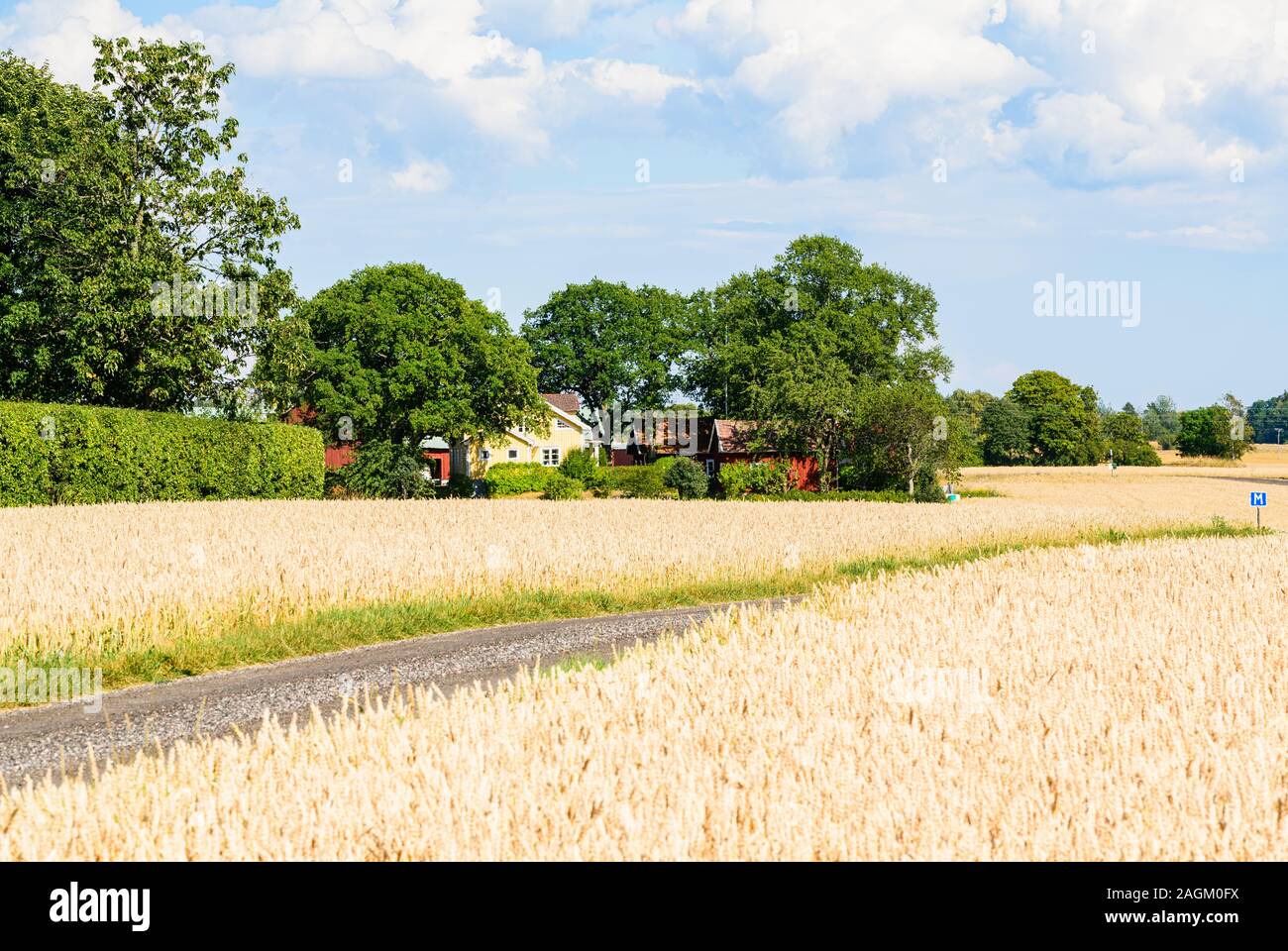 Swedish field hi-res stock photography and images - Alamy