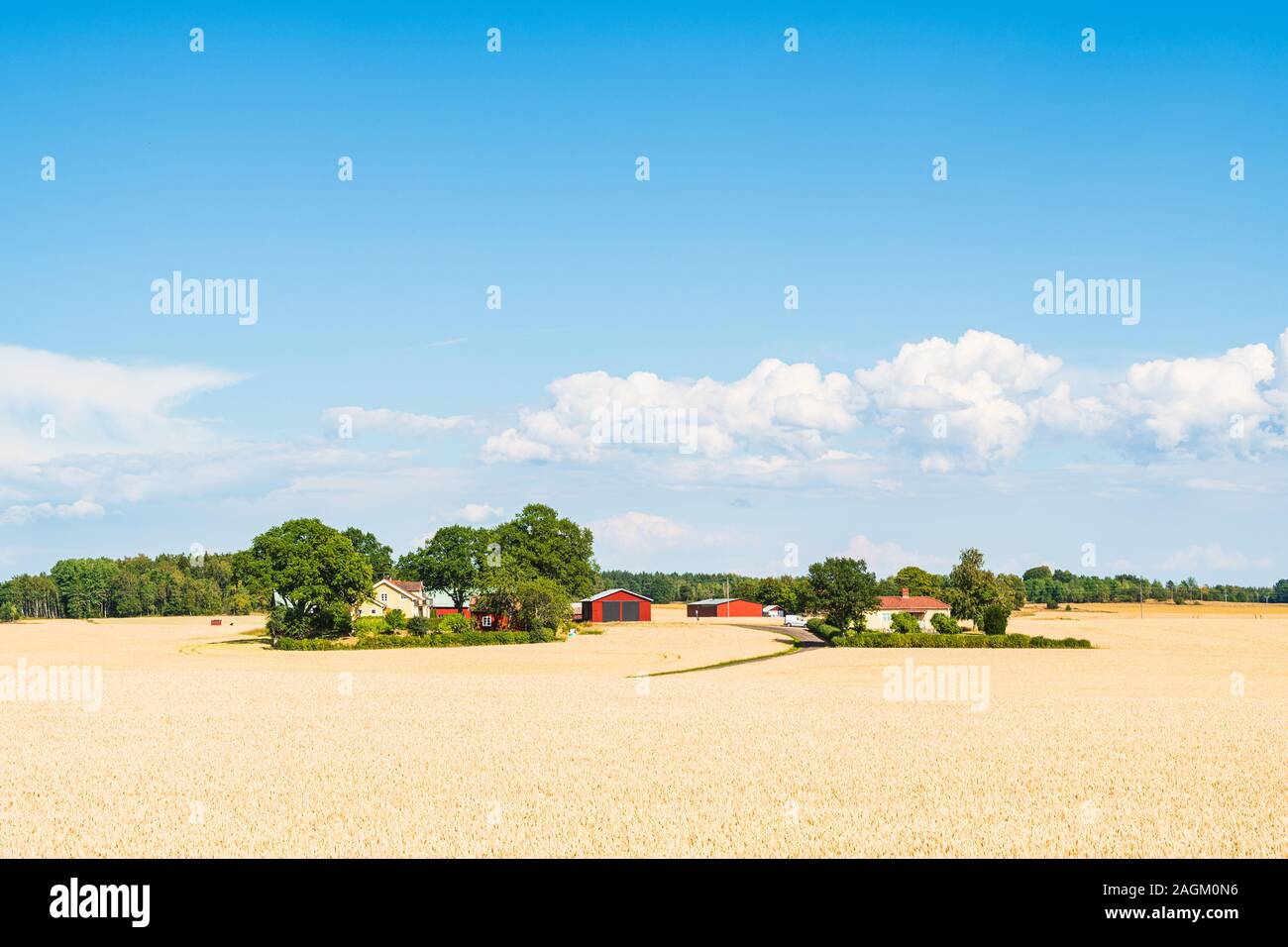 Agriculture fields and houses on the Swedish countryside Stock Photo ...