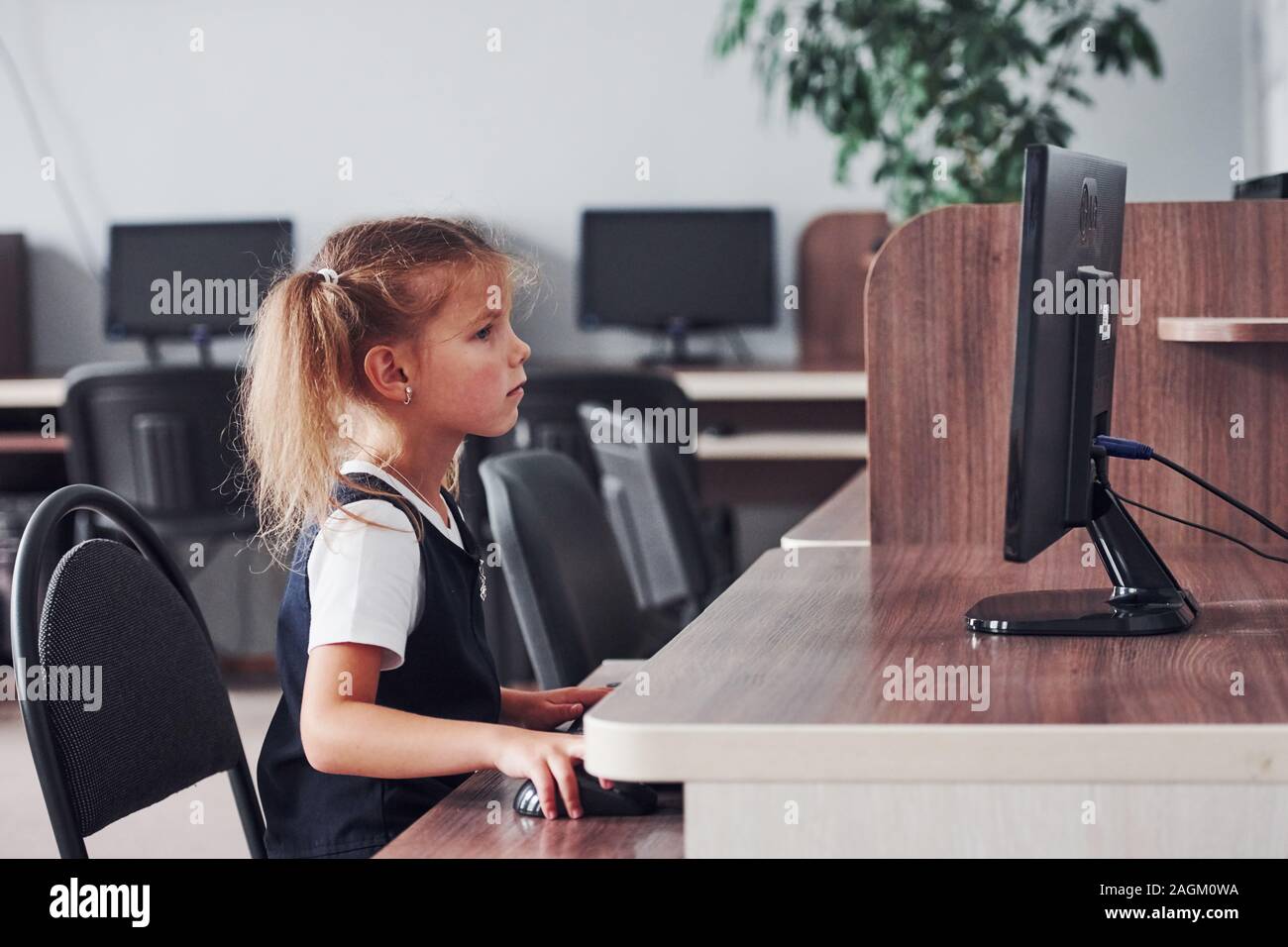 Young girl sitting by the computed and searching for information Stock ...