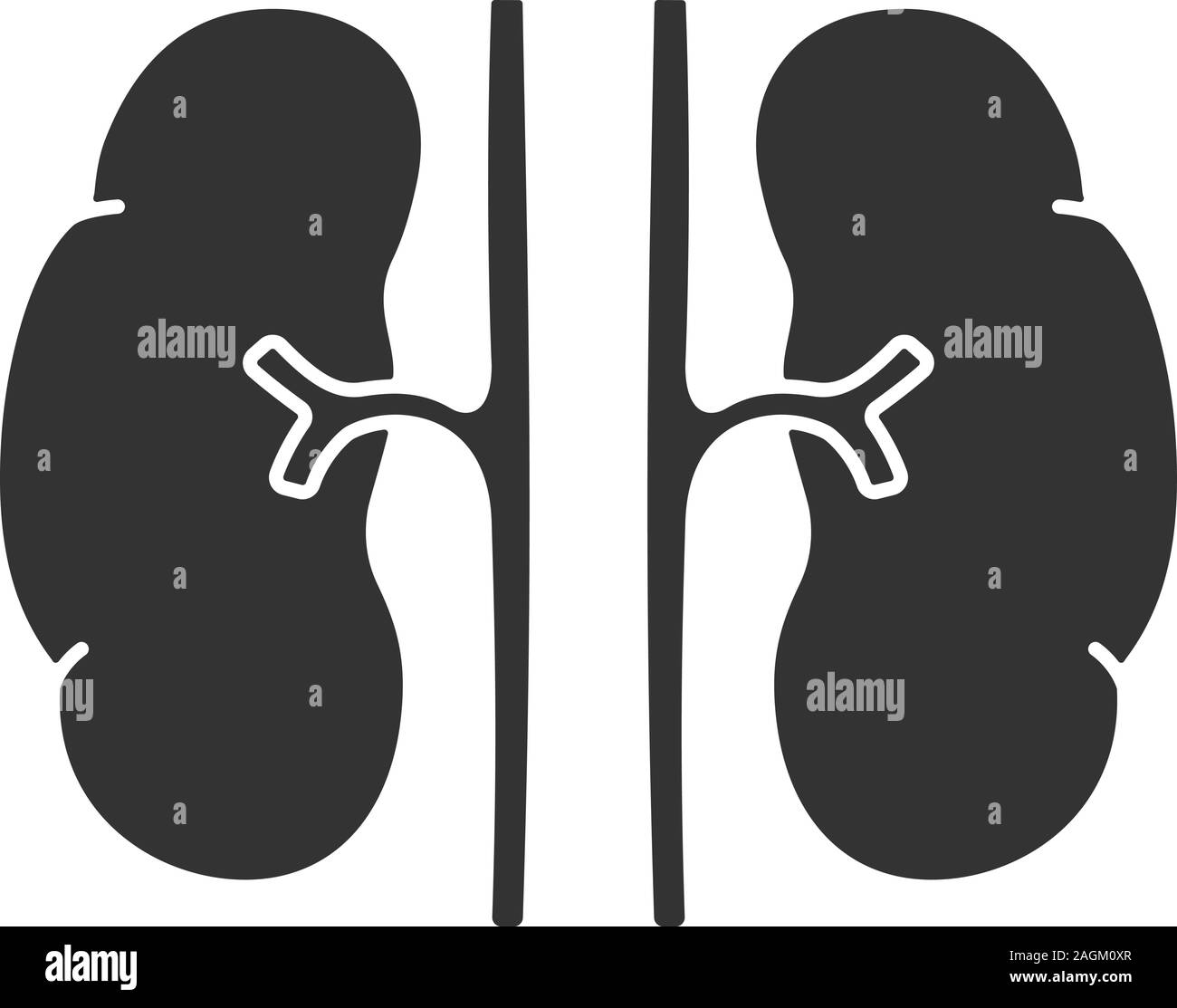 Human kidneys glyph icon. Urinary system. Silhouette symbol. Negative ...