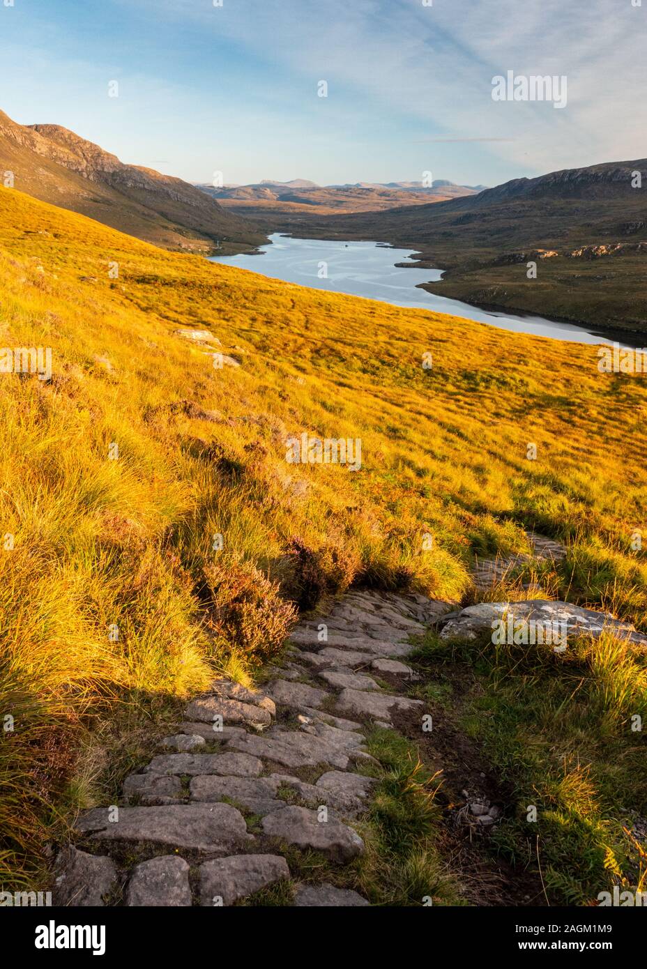 Forest steps in scottish highlands hi-res stock photography and images ...