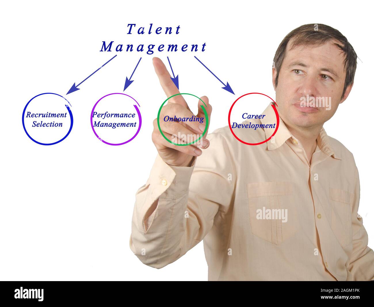 Diagram of Talent Management Stock Photo - Alamy