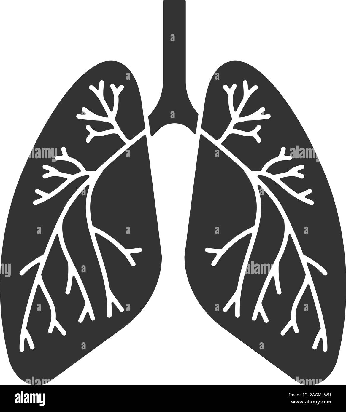 Human lungs with bronchi and bronchioles glyph icon. Respiratory system ...