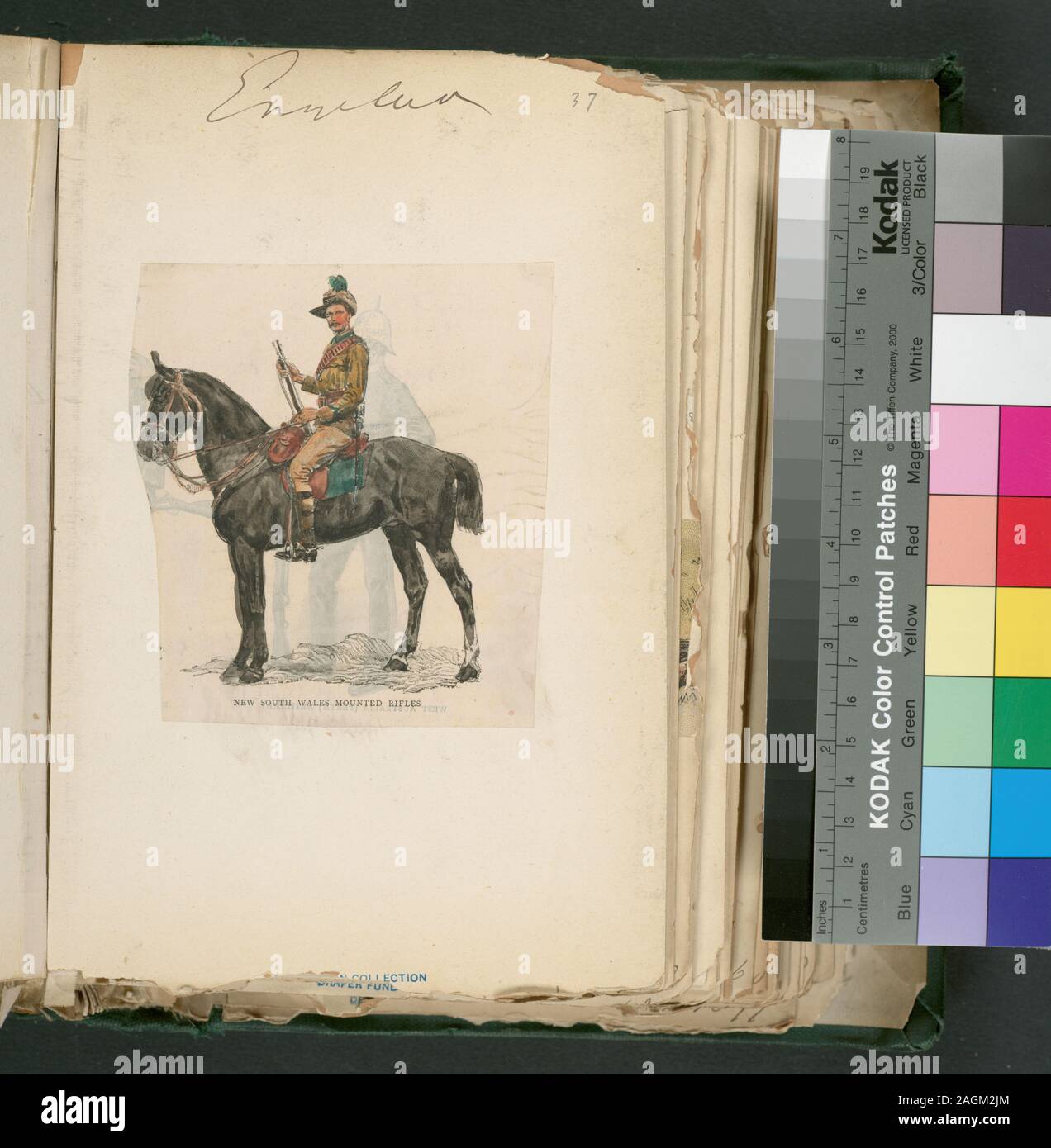 New South Wales Mounted Rifles.; New South Wales Mounted Rifles Stock ...