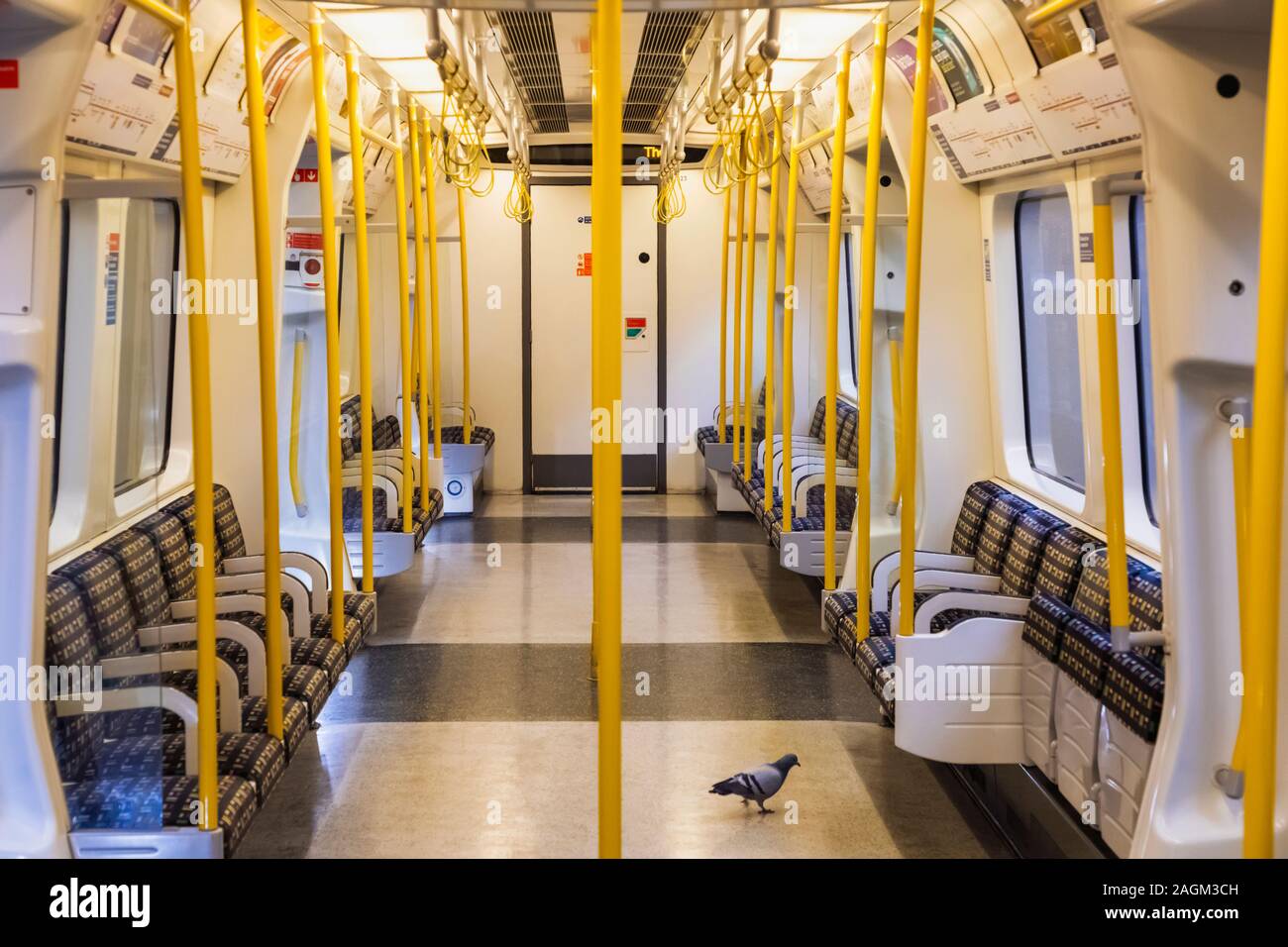 England, London, London Underground, Metropolitan Line, Pigeon ...