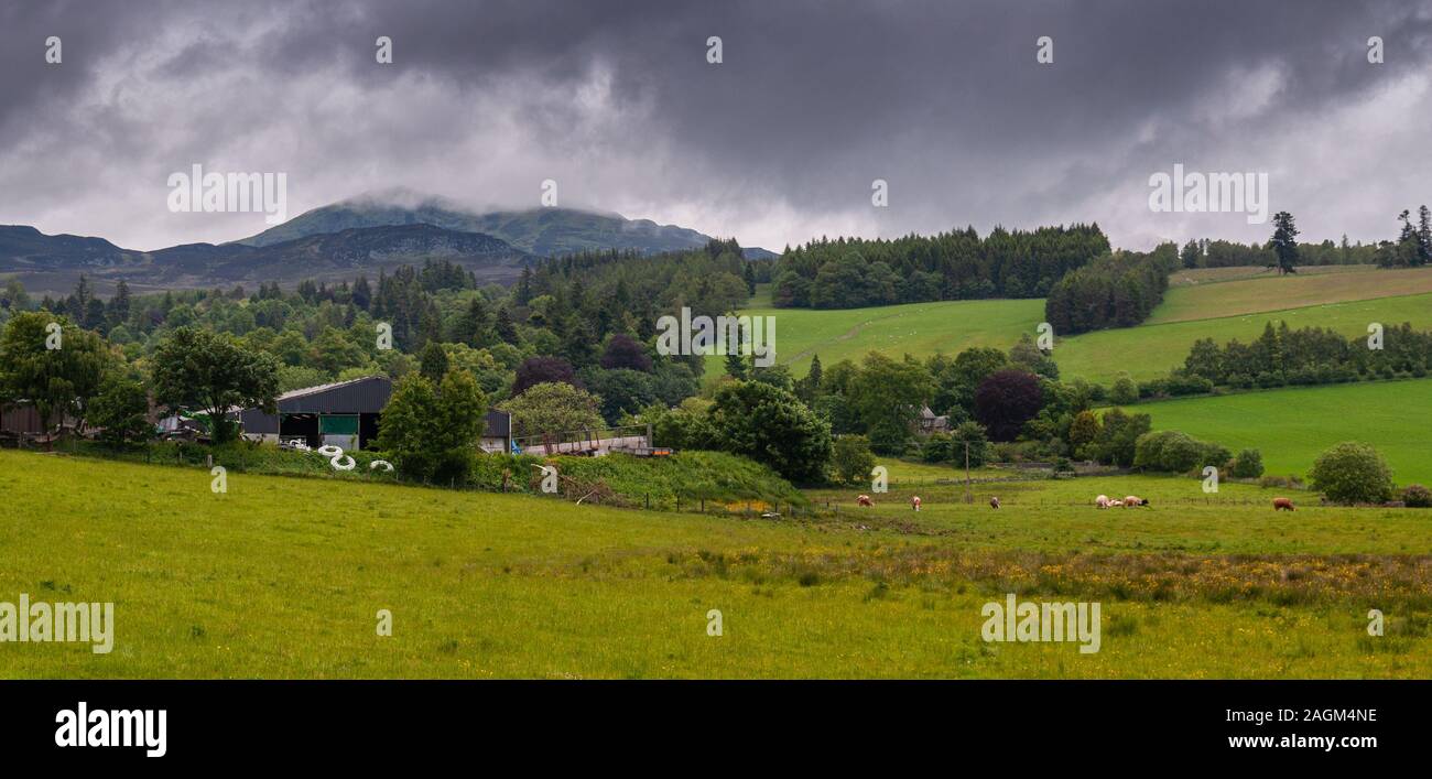 Ben Vrackie mountain rises behind fields of pasture above Pitlochry in ...