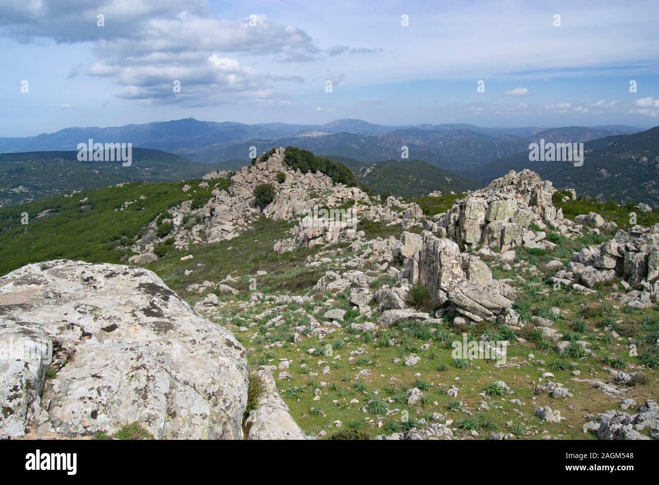 Eccas hi-res stock photography and images - Alamy