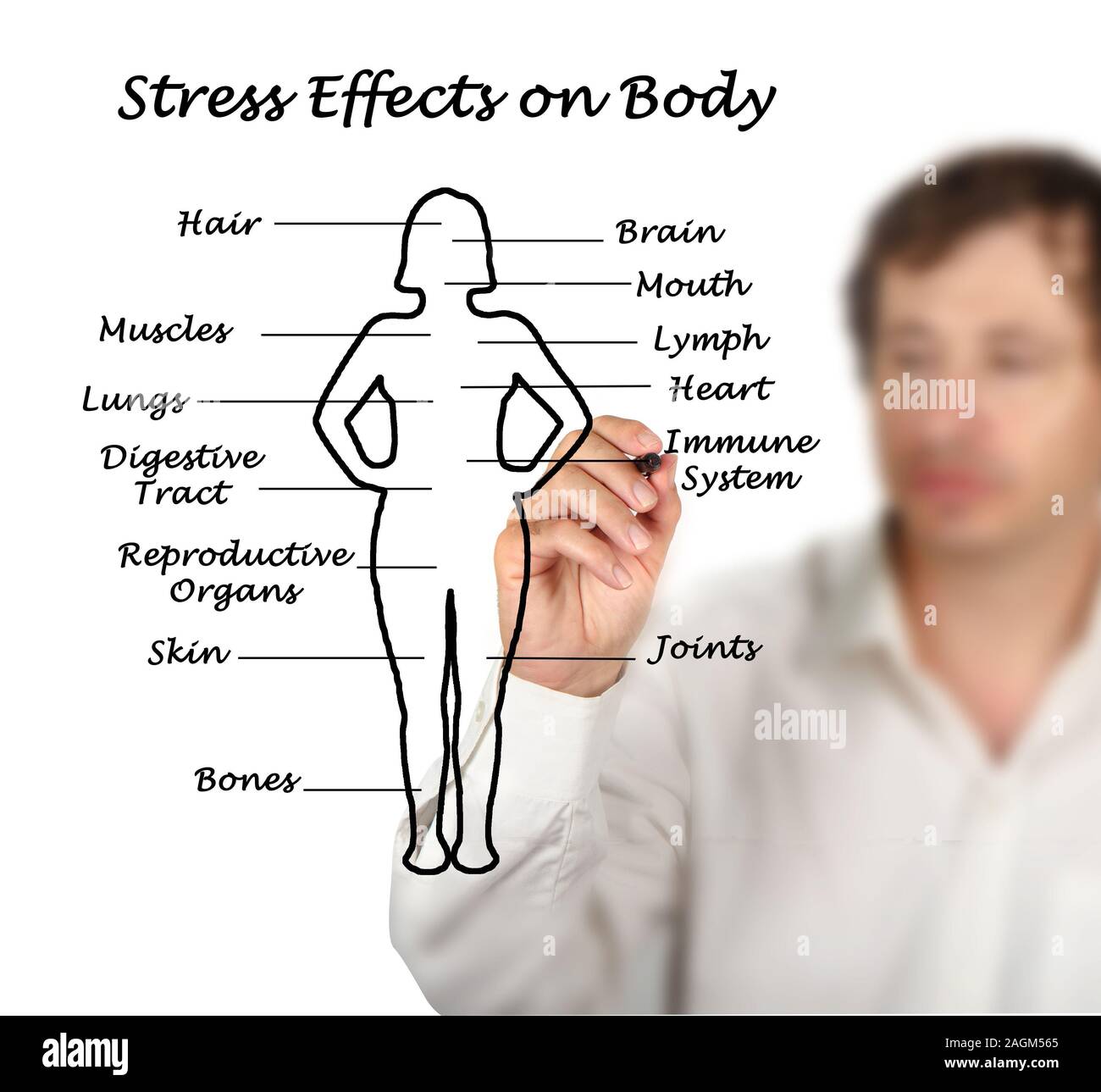 Stress Effects on Body Stock Photo - Alamy