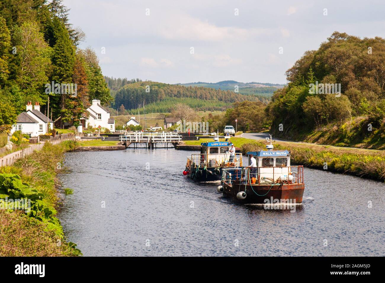 Lochgilphead woodland hi-res stock photography and images - Alamy