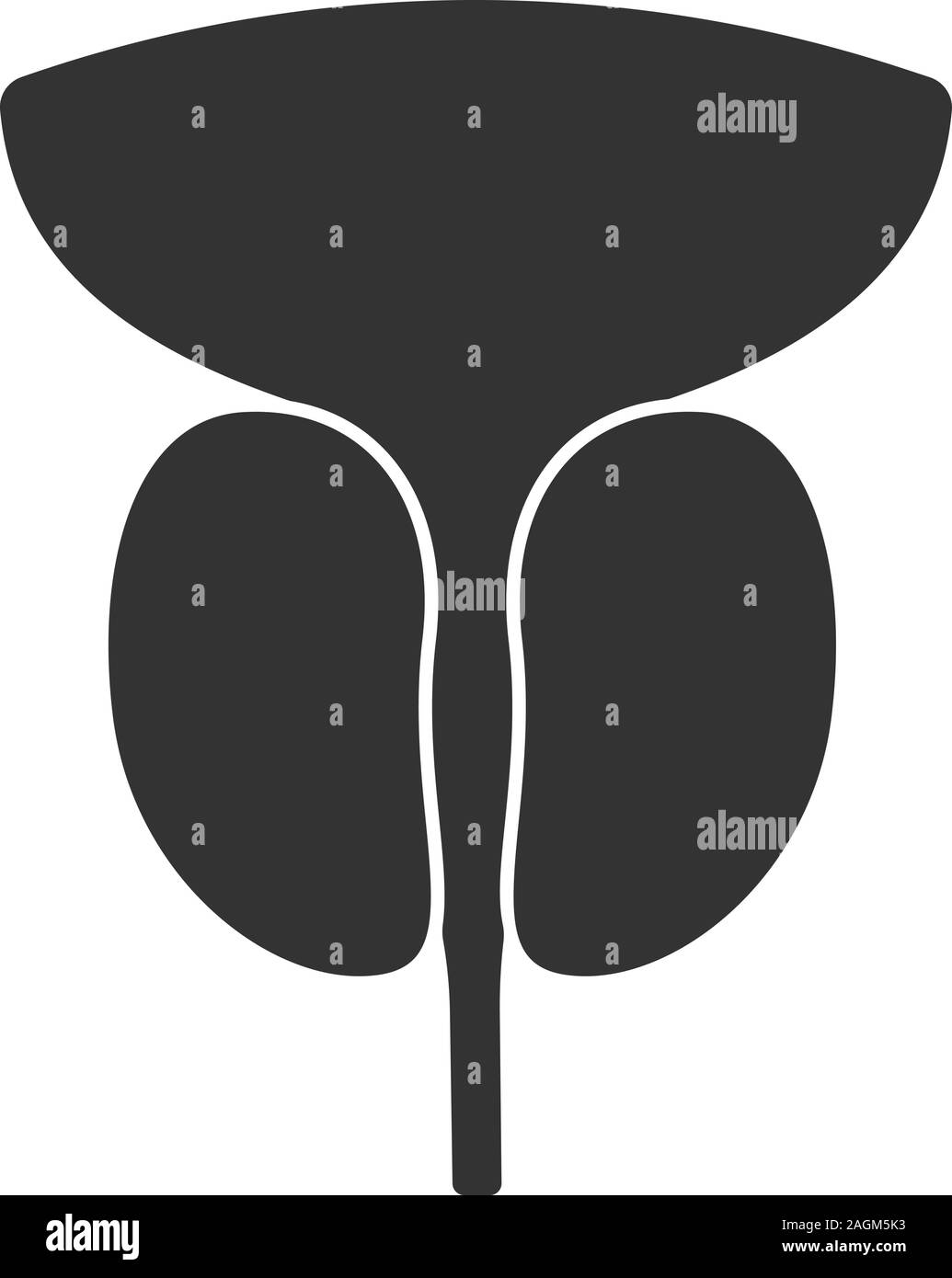 Prostate gland and urethra glyph icon. Male reproductive system organ ...