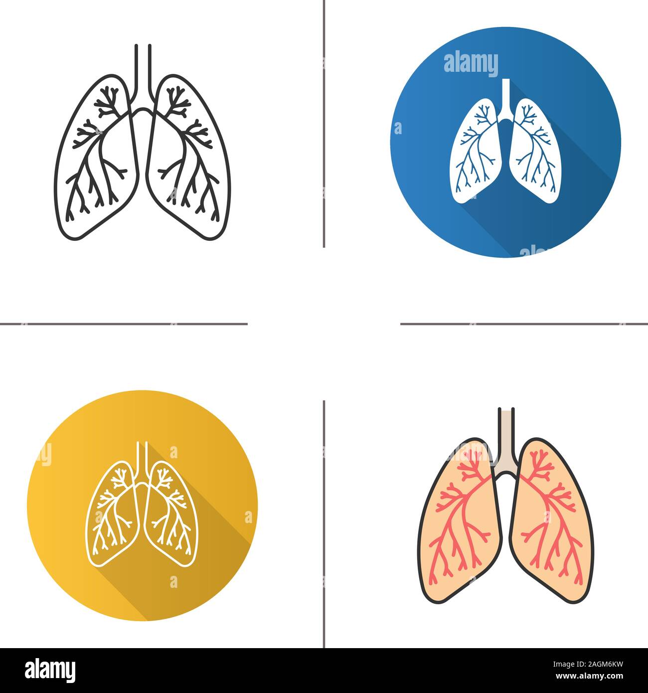 Human lungs with bronchi and bronchioles icon. Respiratory system ...