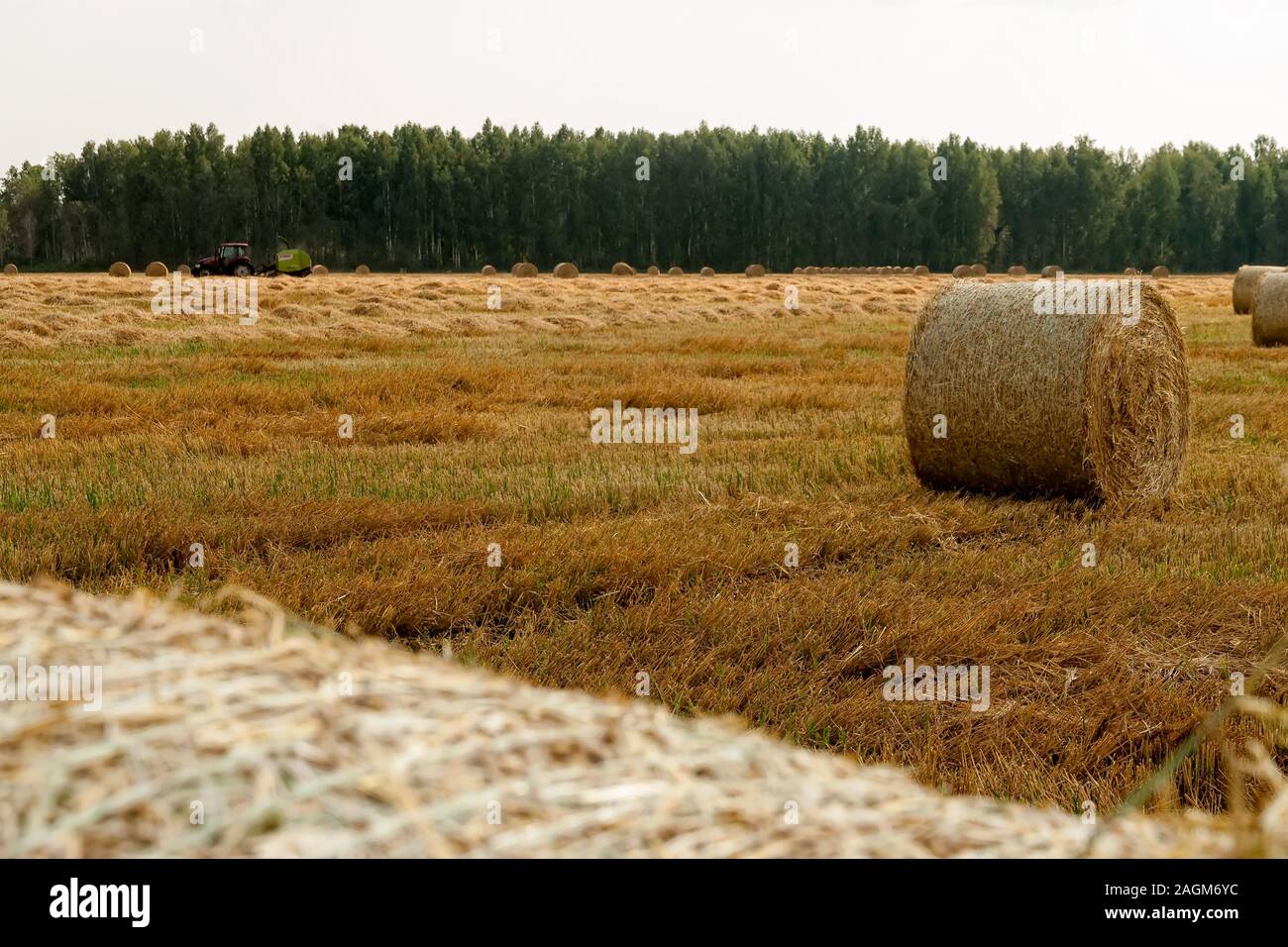 Hay bales with tractor background Stock Photo - Alamy