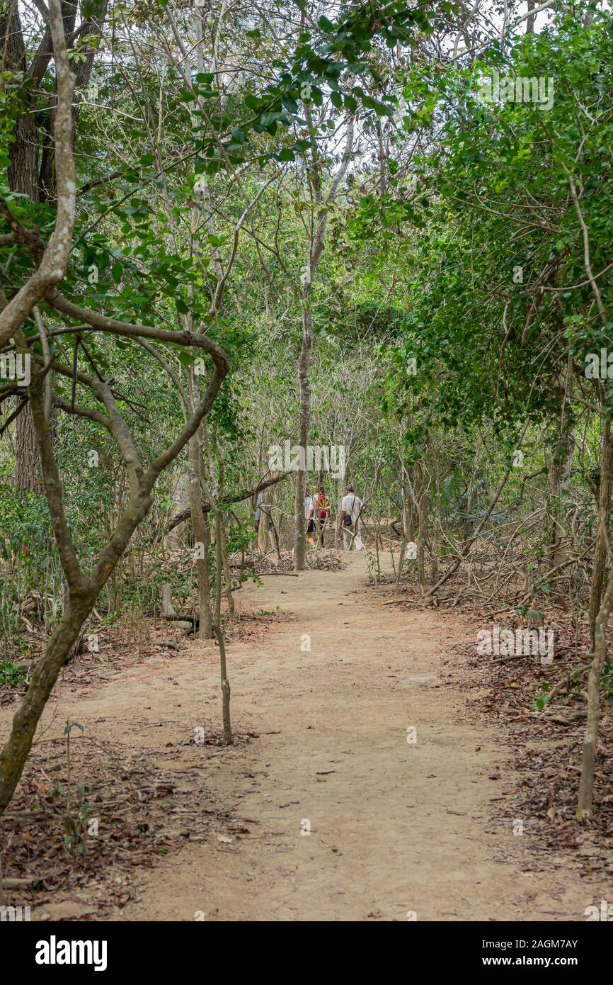 Walking trail through Komodo National Park, Indonesia Stock Photo - Alamy