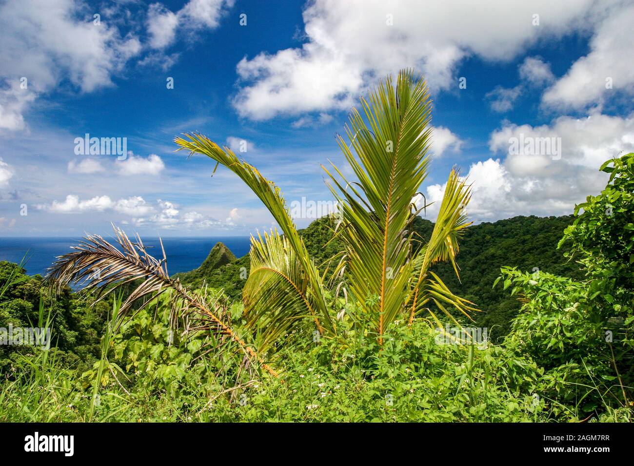 Scenic views around Pago Pago, American Samoa, Pacific Ocean Stock ...