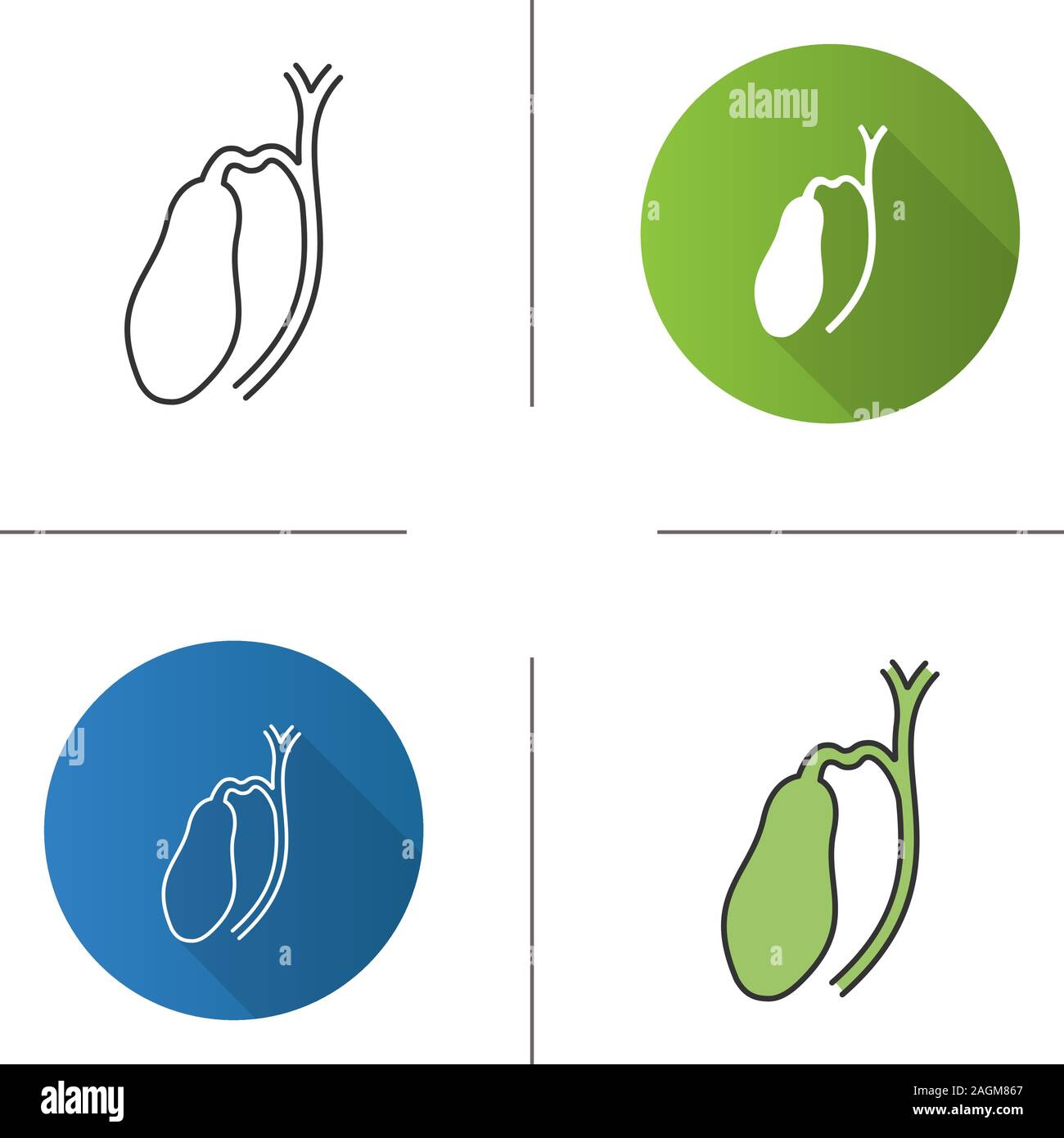 Gallbladder and ducts icon. Flat design, linear and color styles ...