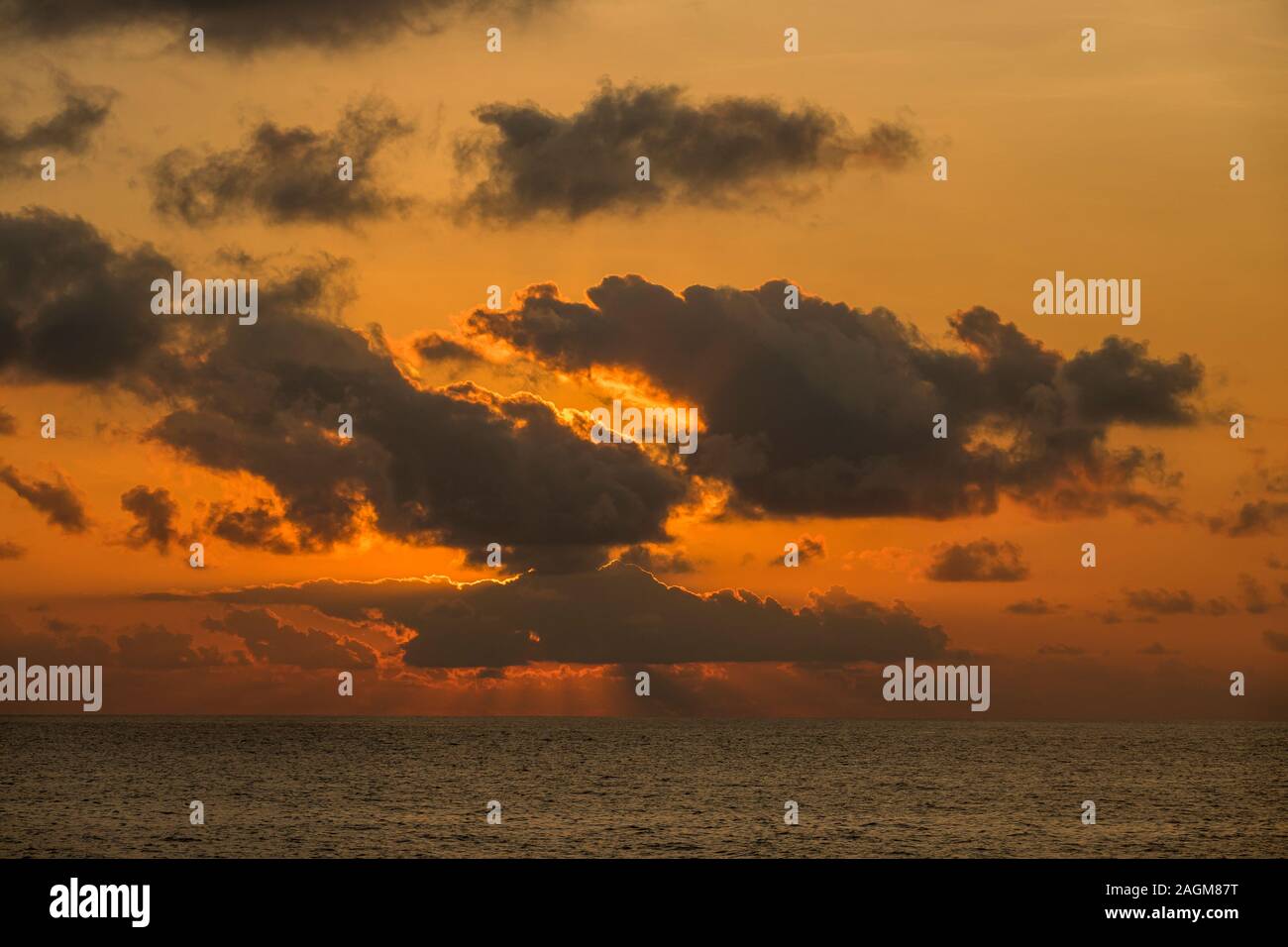 Flores sea hi-res stock photography and images - Alamy