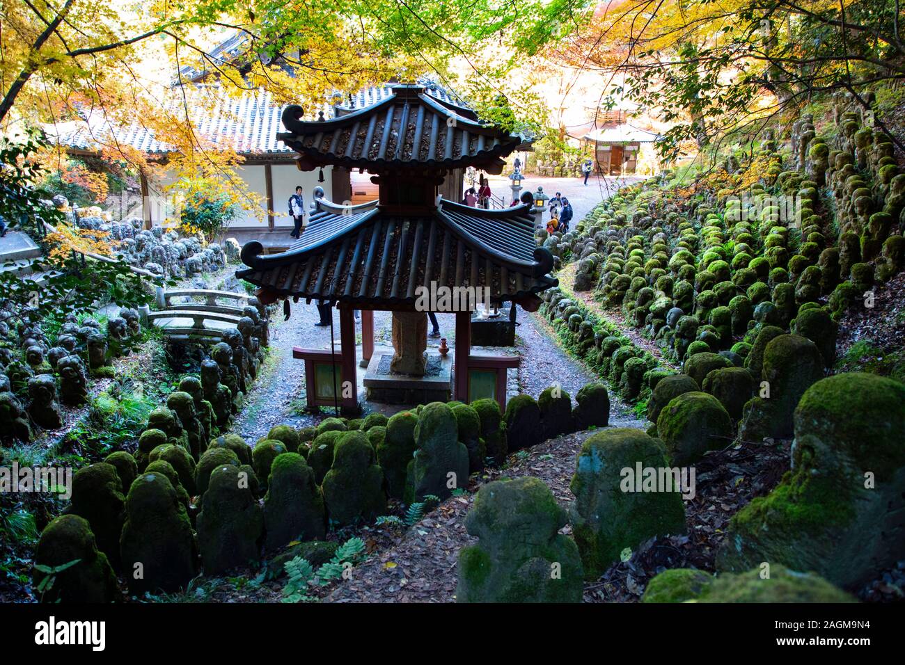 KYOTO, JAPAN -23rd November 2019: Otagi Nenbutsuji Temple is famous for ...