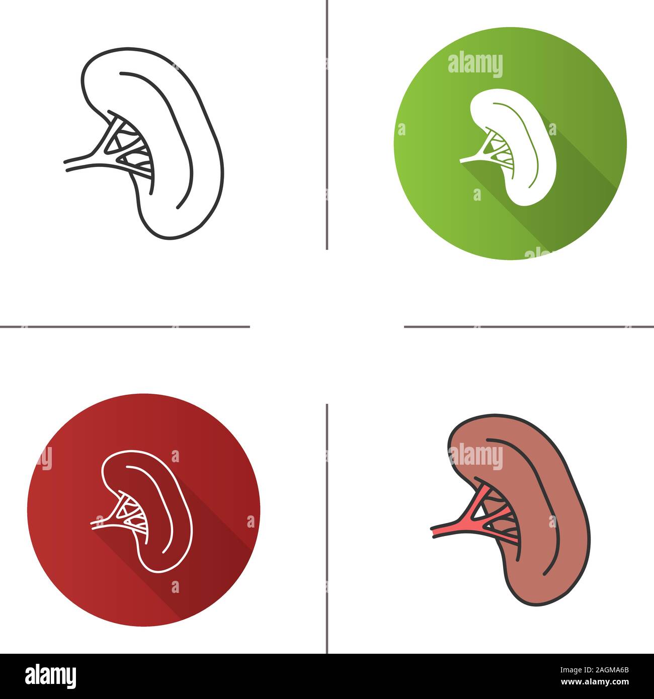 Human spleen icon. Lymphatic system organ. Flat design, linear and ...