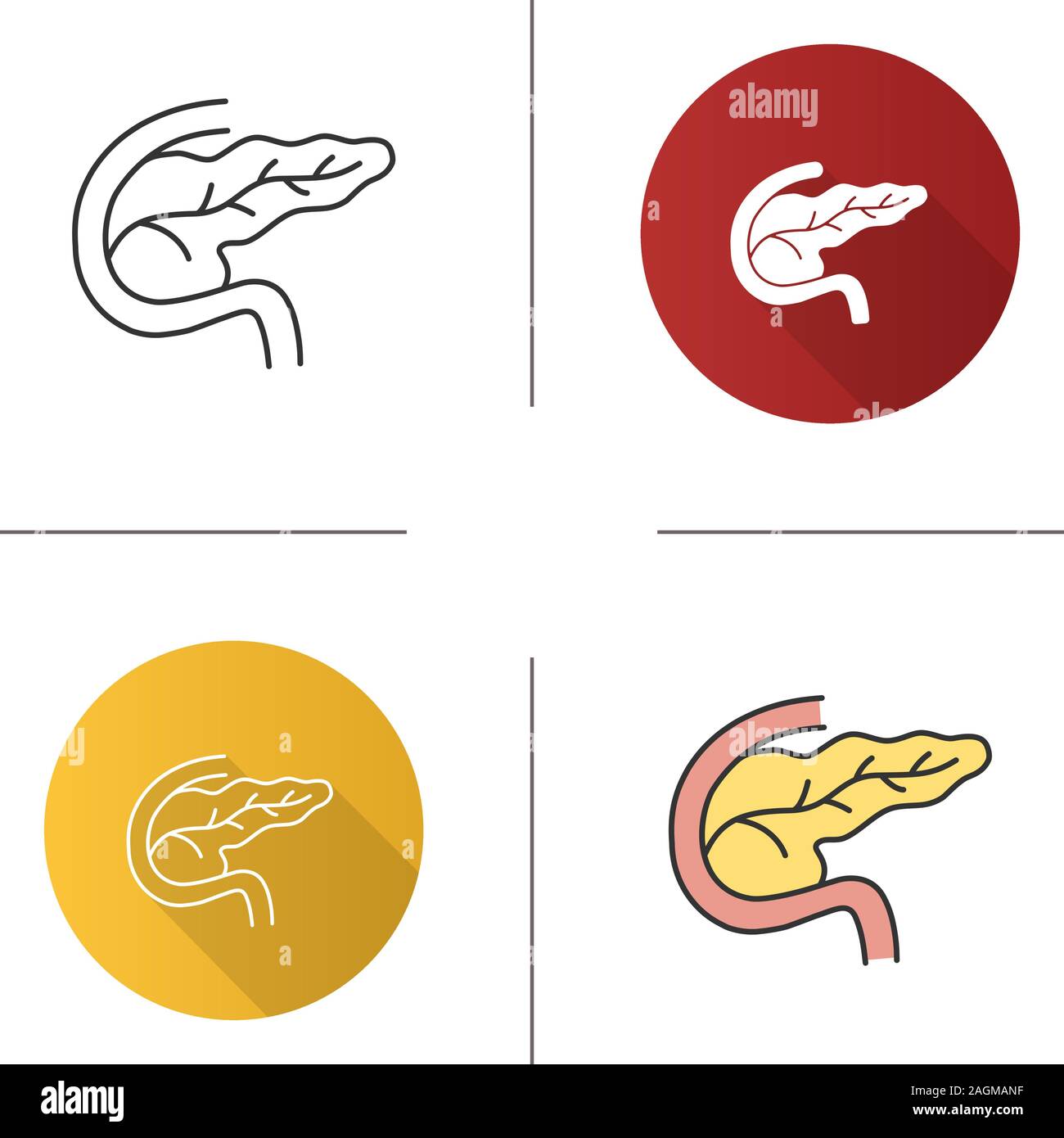 Pancreas and duodenum icon. Digestive and endocrine gland. Flat design ...