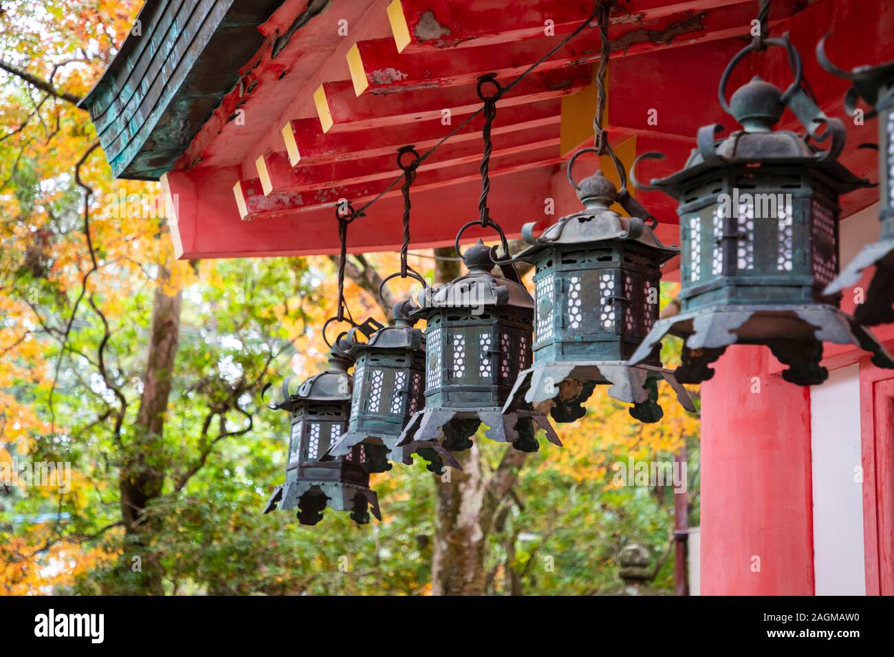 NARA, JAPAN -22nd November 2019: Kasuga-taisha shrine is famous for its ...