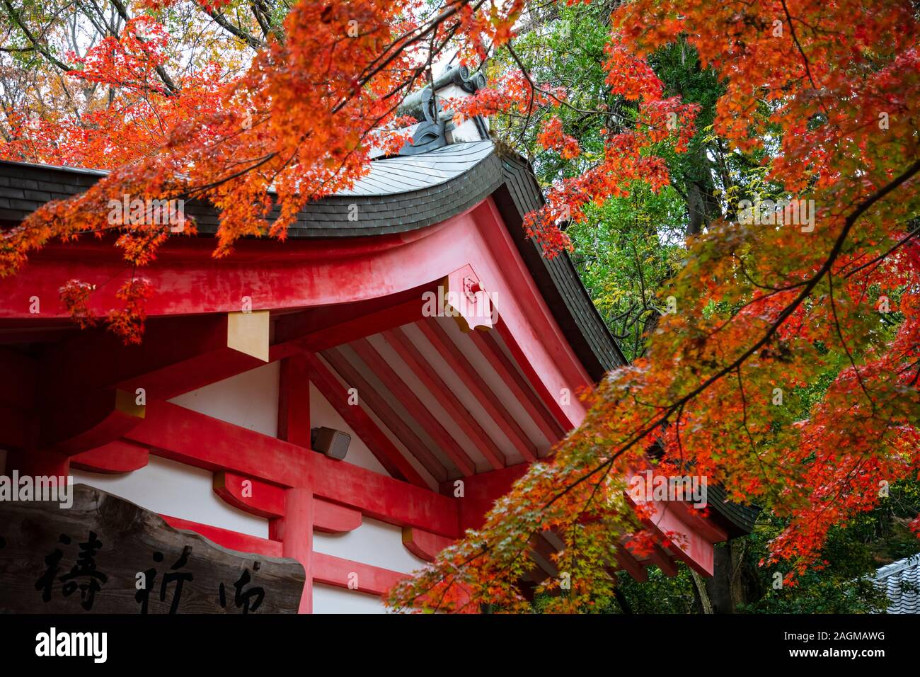 Kasuga Taisha Shinto Shrine High Resolution Stock Photography and ...