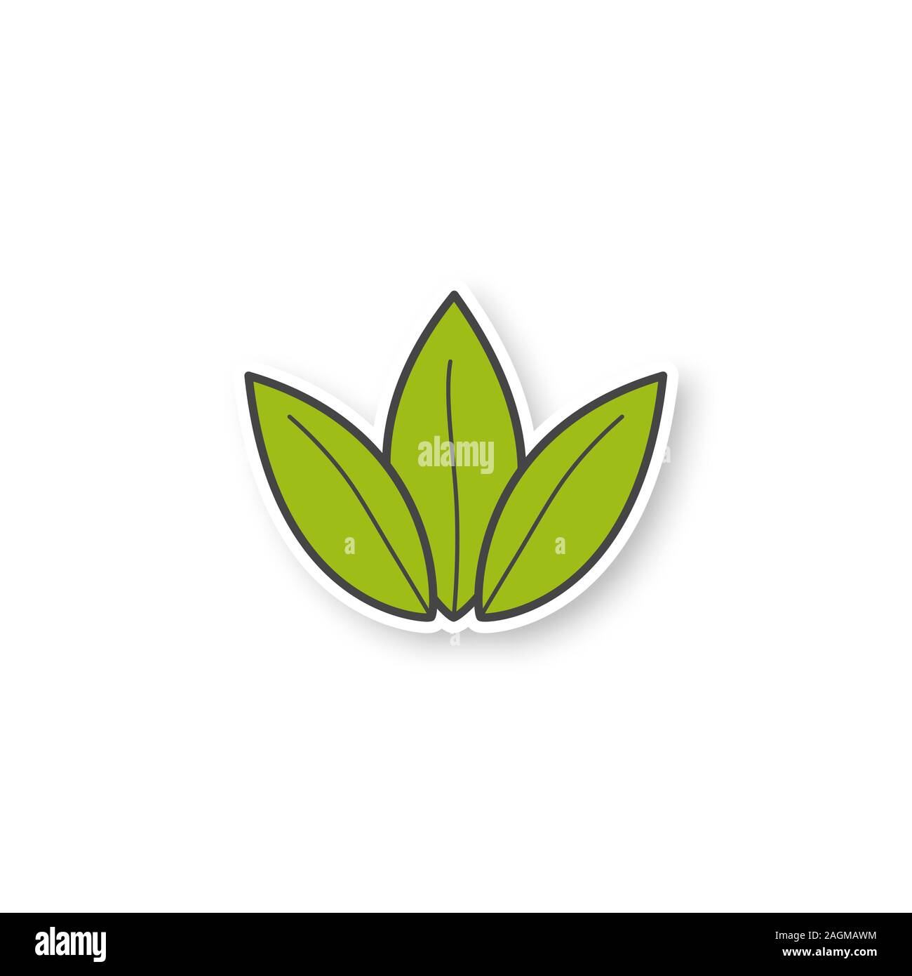 Green tea leaf patch. Loose tea leaves. Color sticker. Vector isolated ...