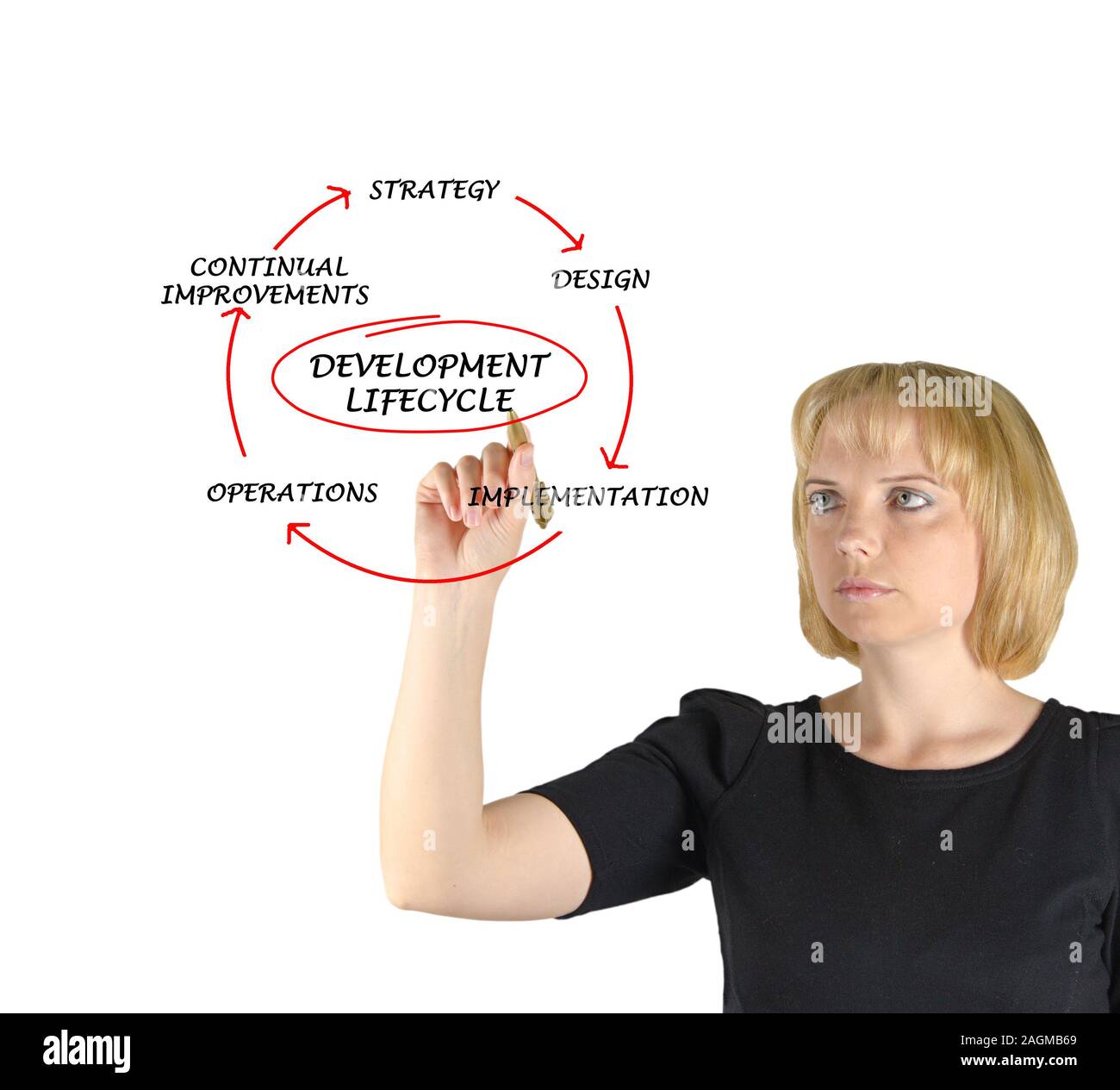 Diagram of development lifecycle Stock Photo - Alamy