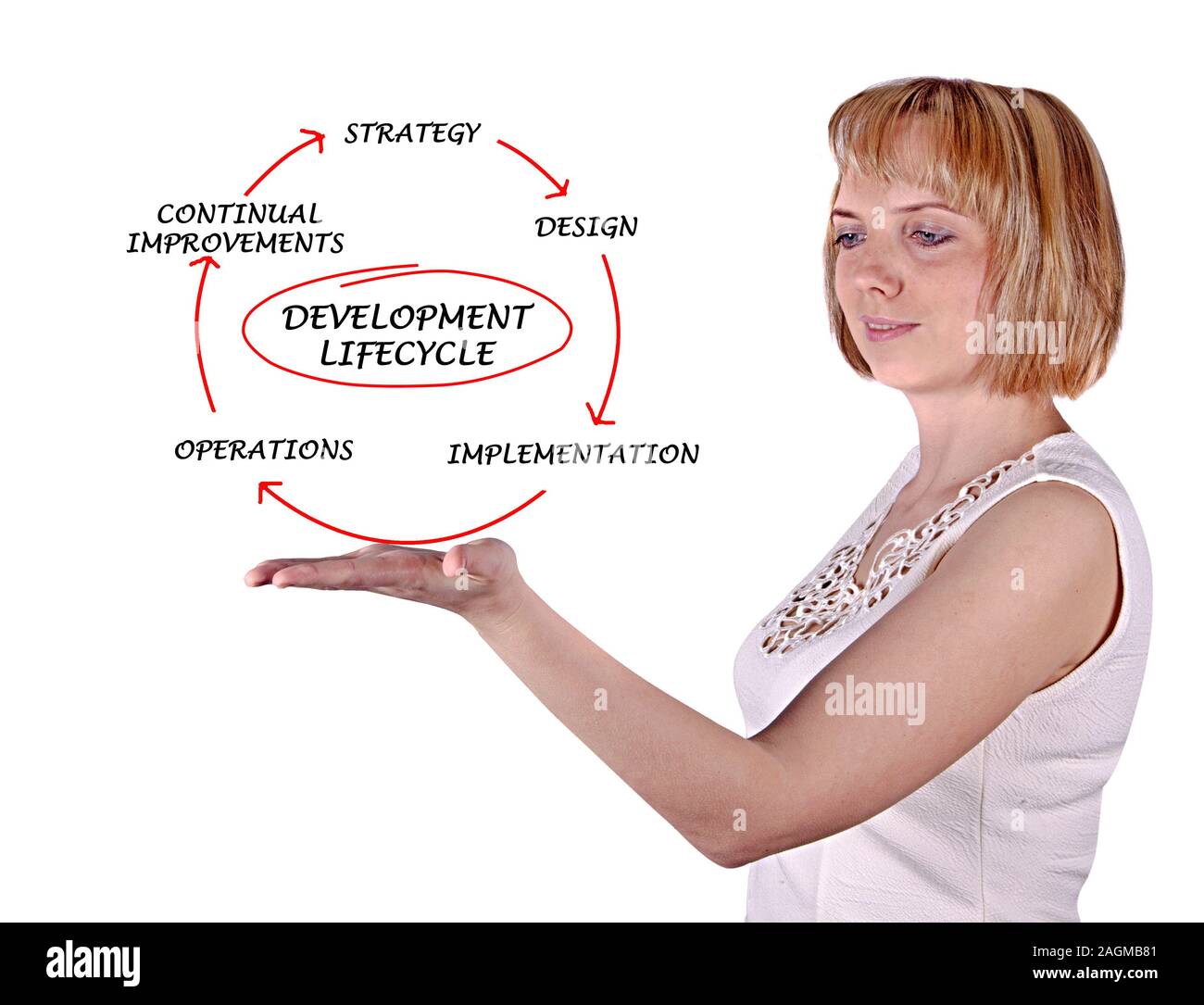 Diagram of development lifecycle Stock Photo - Alamy